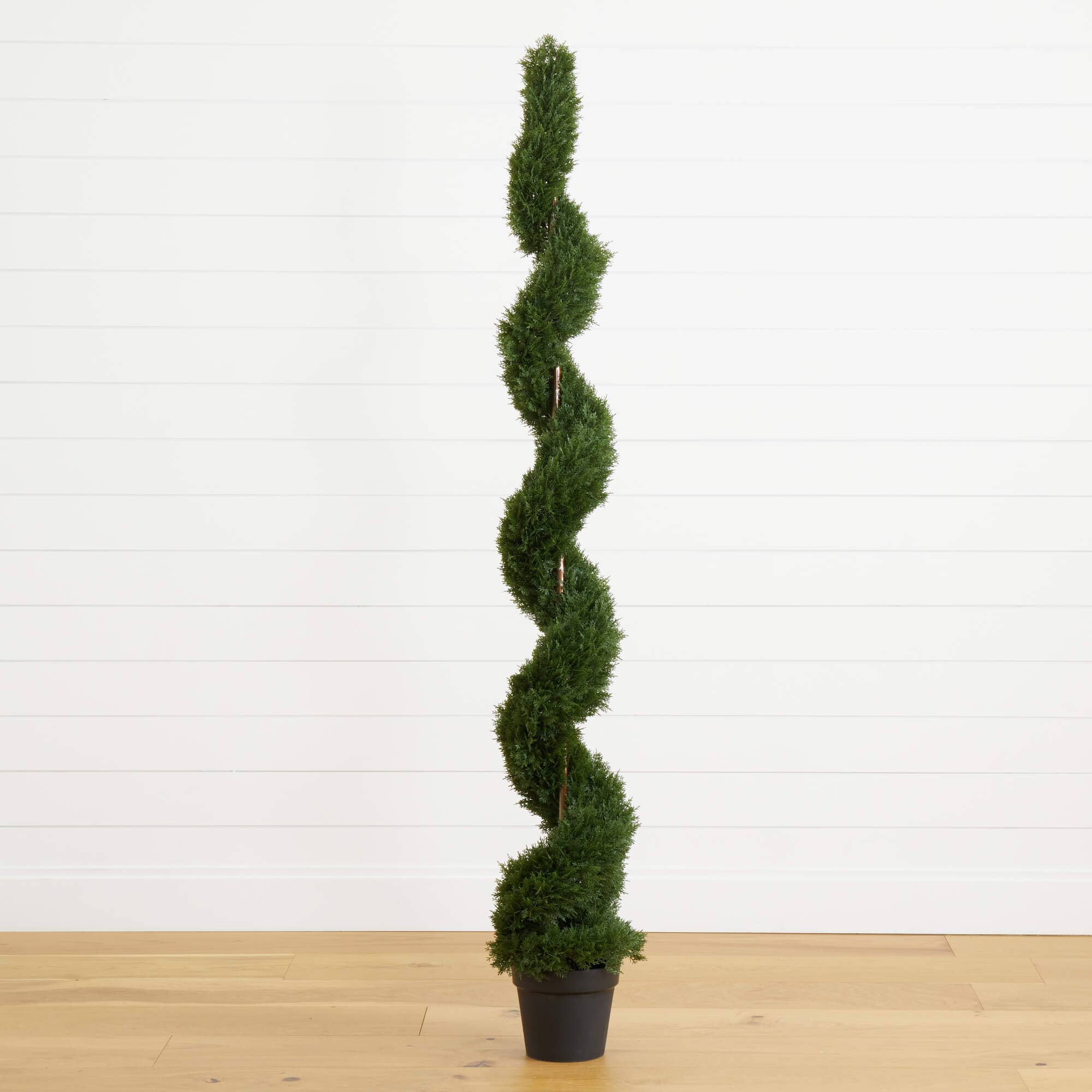 6' Cedar Spiral Silk Tree (In-door/Out-door) | Nearly Natural