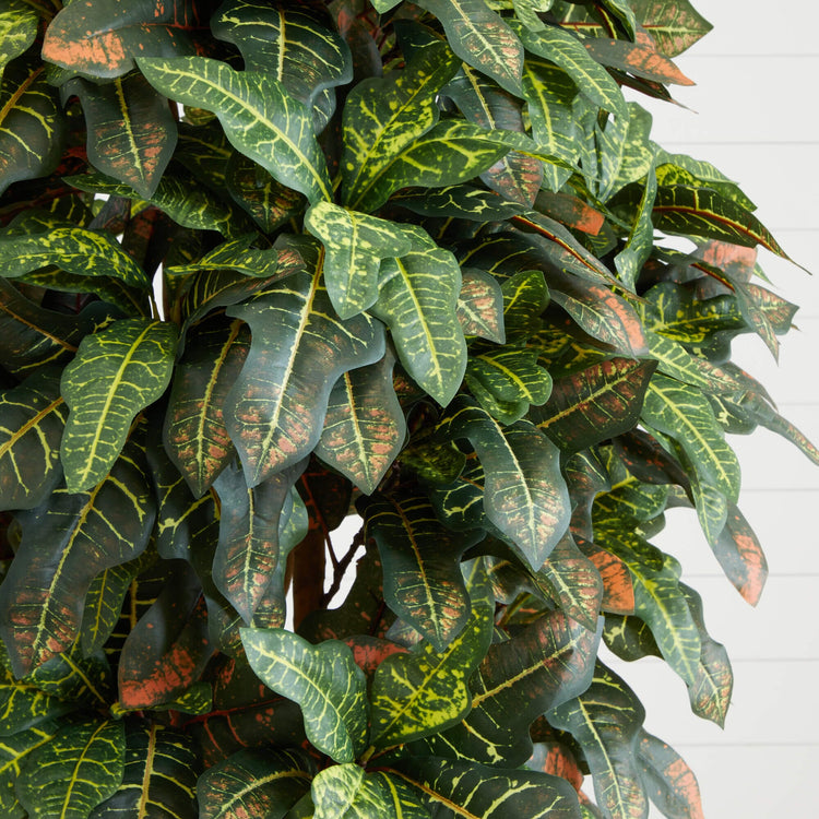 6' Croton Silk Tree | Nearly Natural