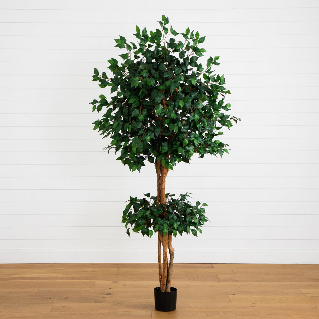 6' Double Ball Ficus Silk Tree | Nearly Natural