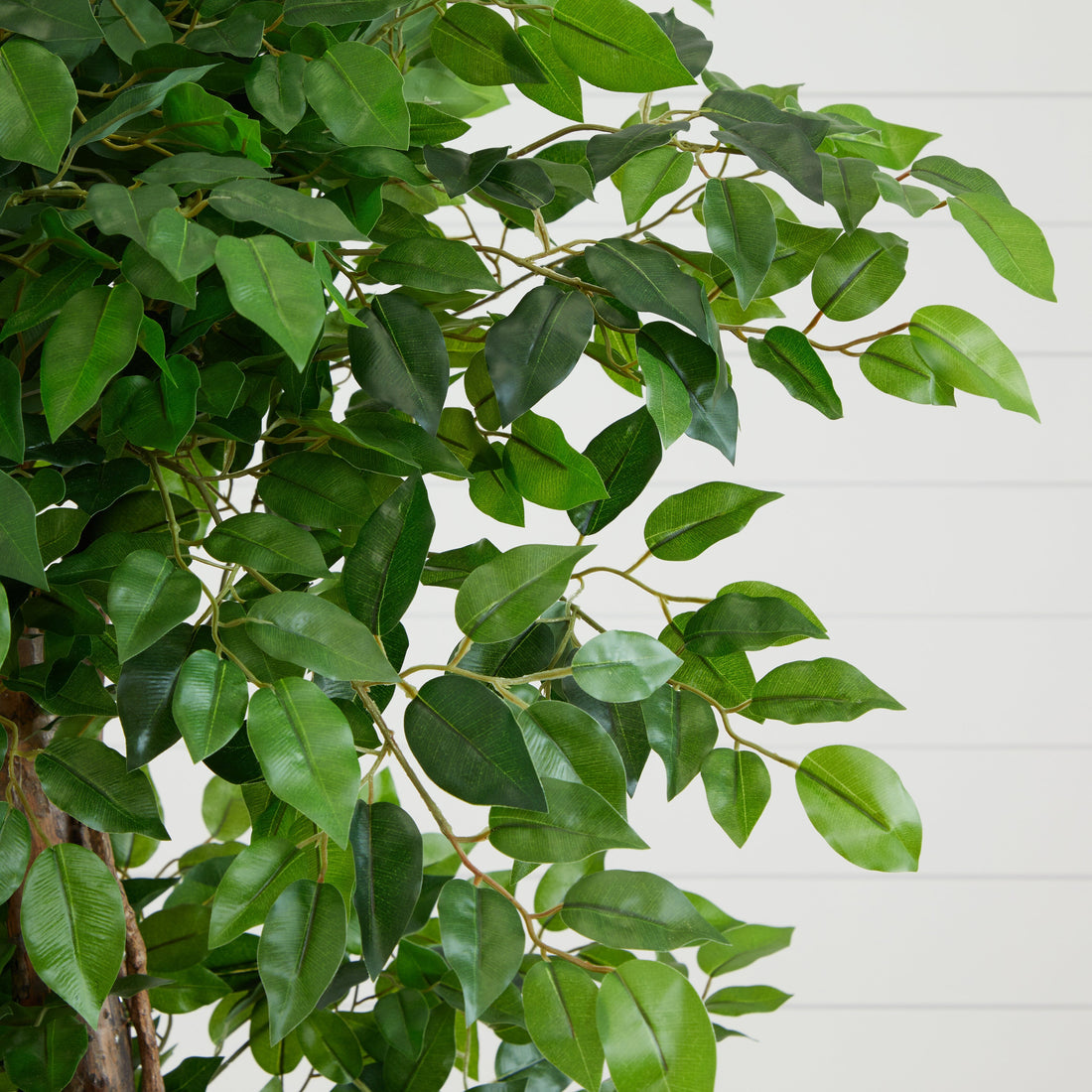 6’ Elegant Ficus Artificial Tree | Nearly Natural
