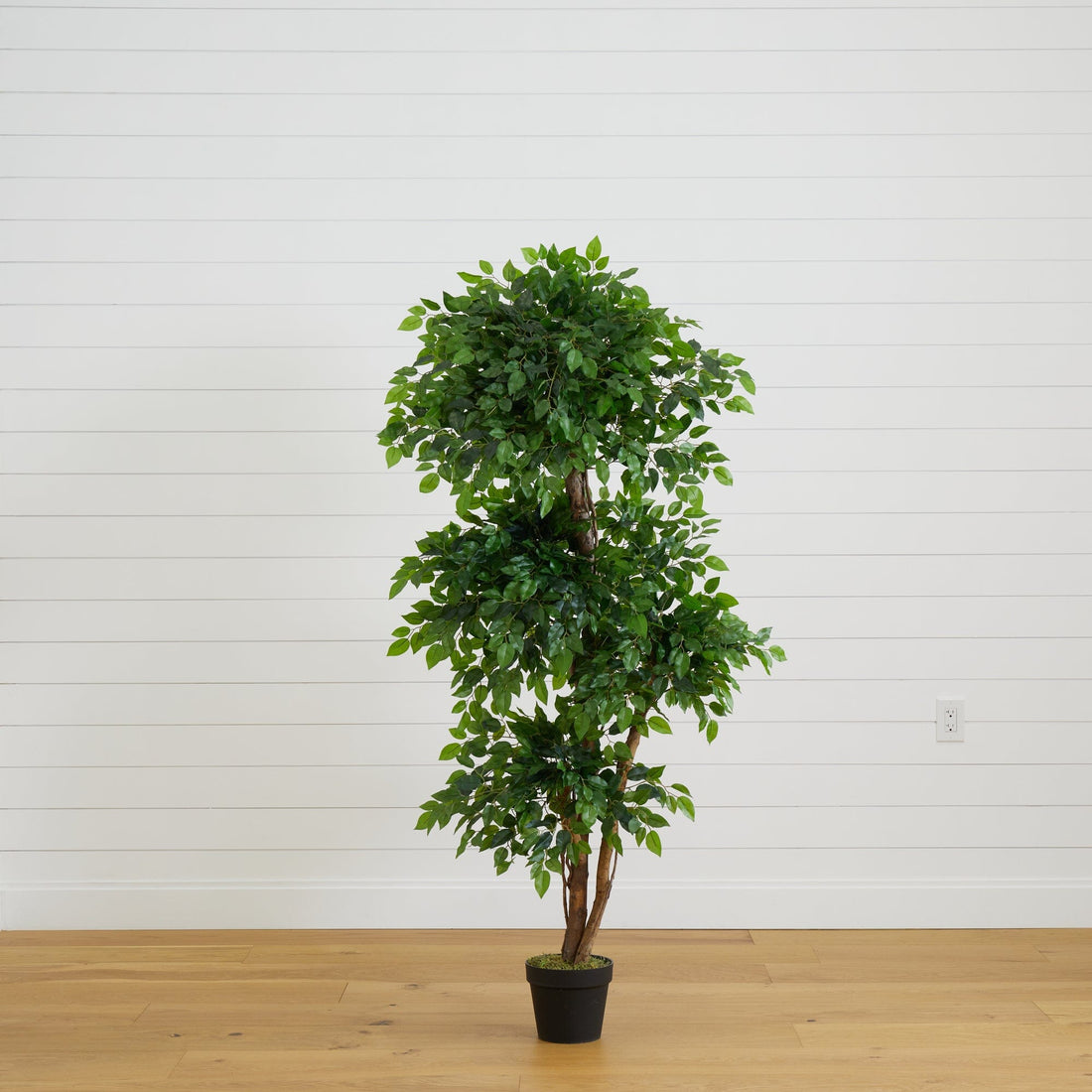 6’ Elegant Ficus Artificial Tree | Nearly Natural