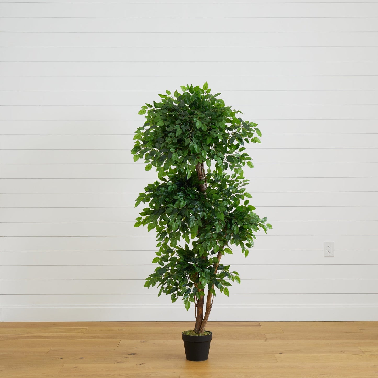 6’ Elegant Ficus Artificial Tree | Nearly Natural