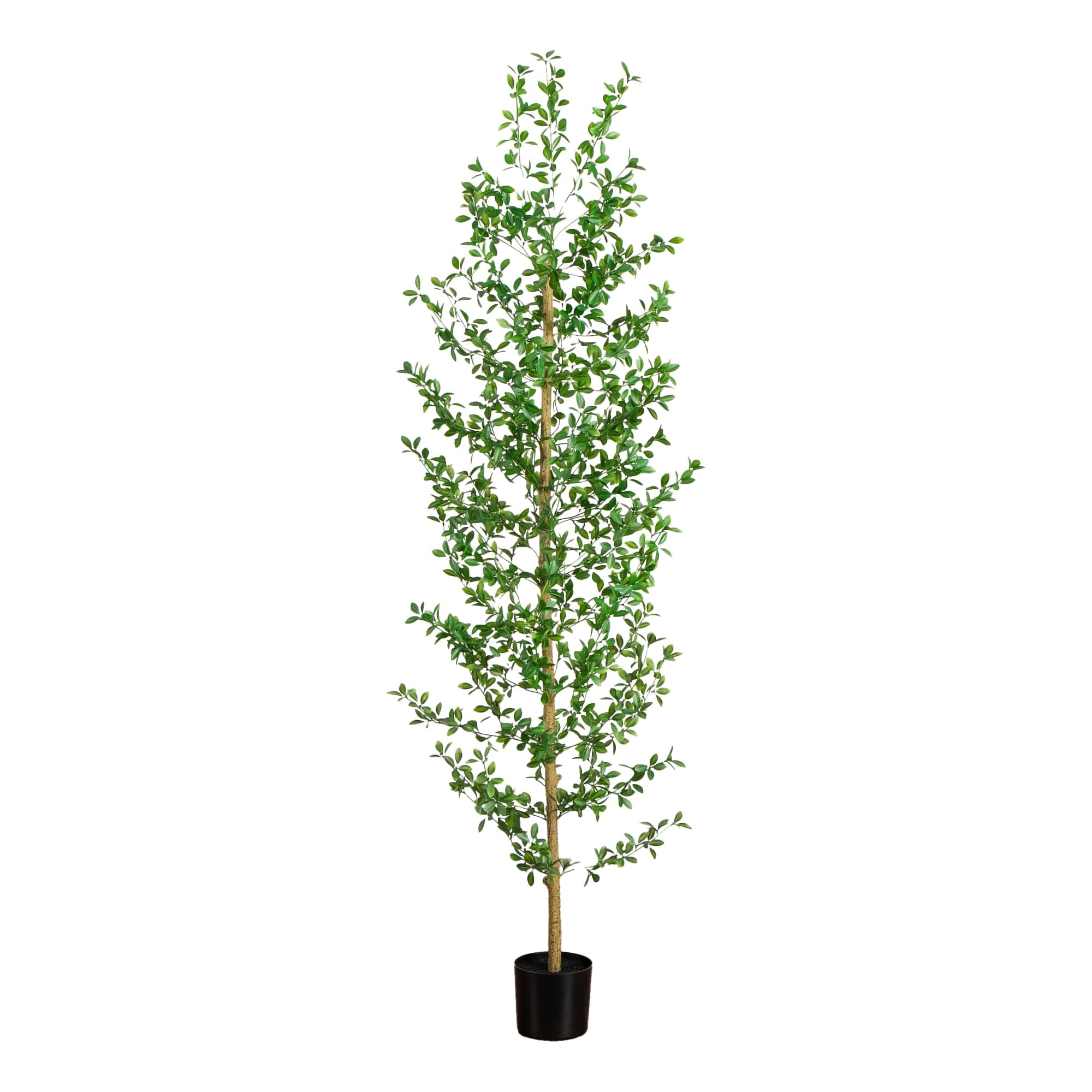 6' Artificial Shady Lady Black Olive Tree – Nearly Natural
