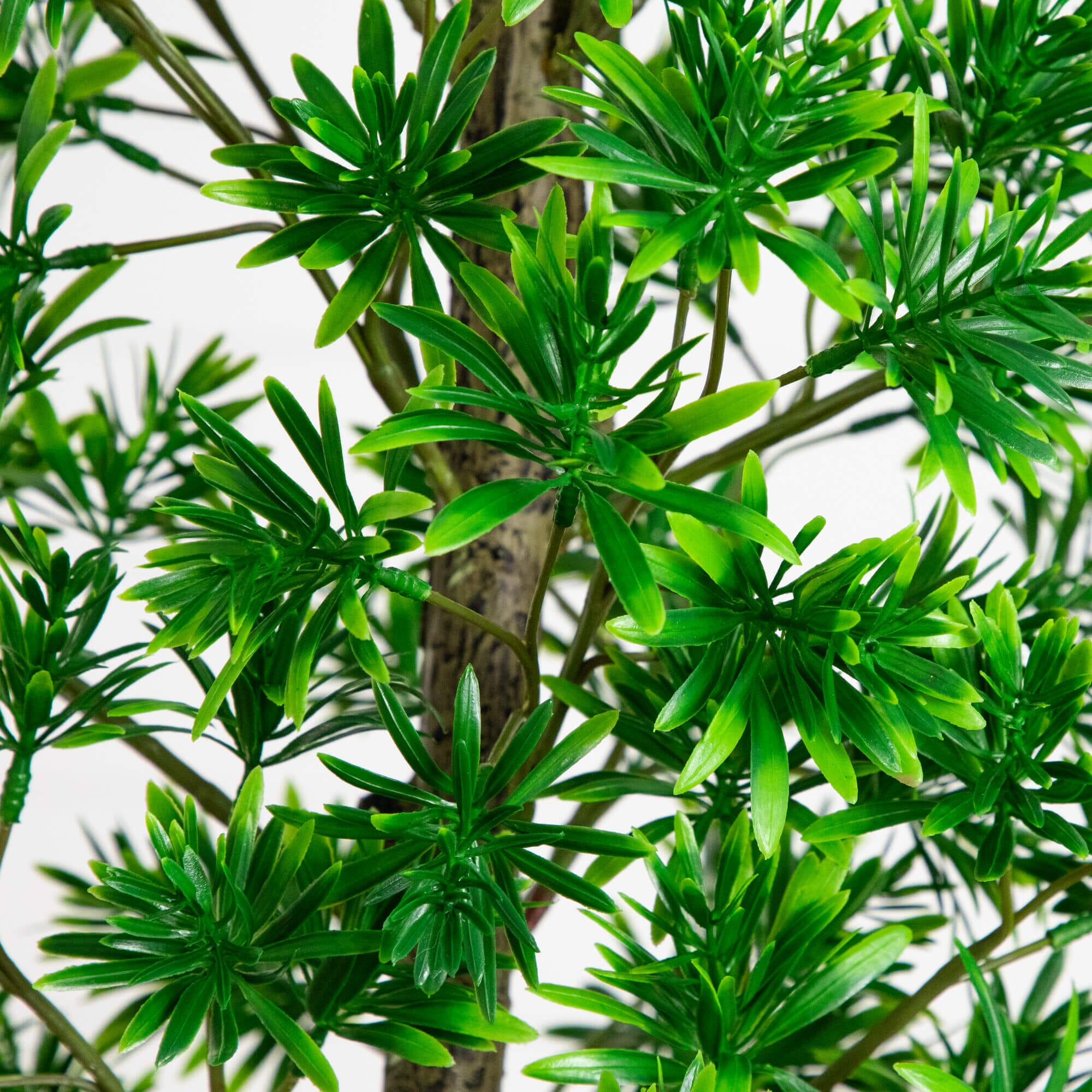 6' UV Artificial Podocarpus Artificial Tree (Indoor/Outdoor) – Nearly ...