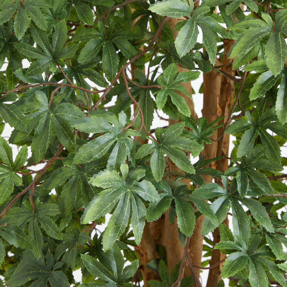 6' Japanese Maple Silk Tree | Nearly Natural