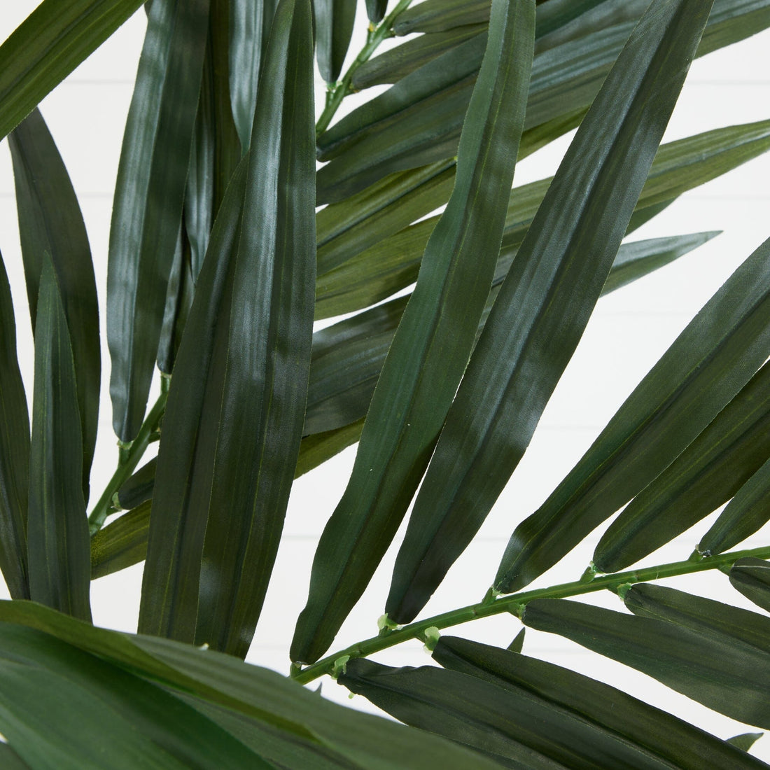 6' Kentia Silk Tree | Nearly Natural