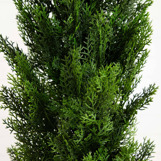 6' Mini Cedar Pine Tree (Indoor/Outdoor) | Nearly Natural
