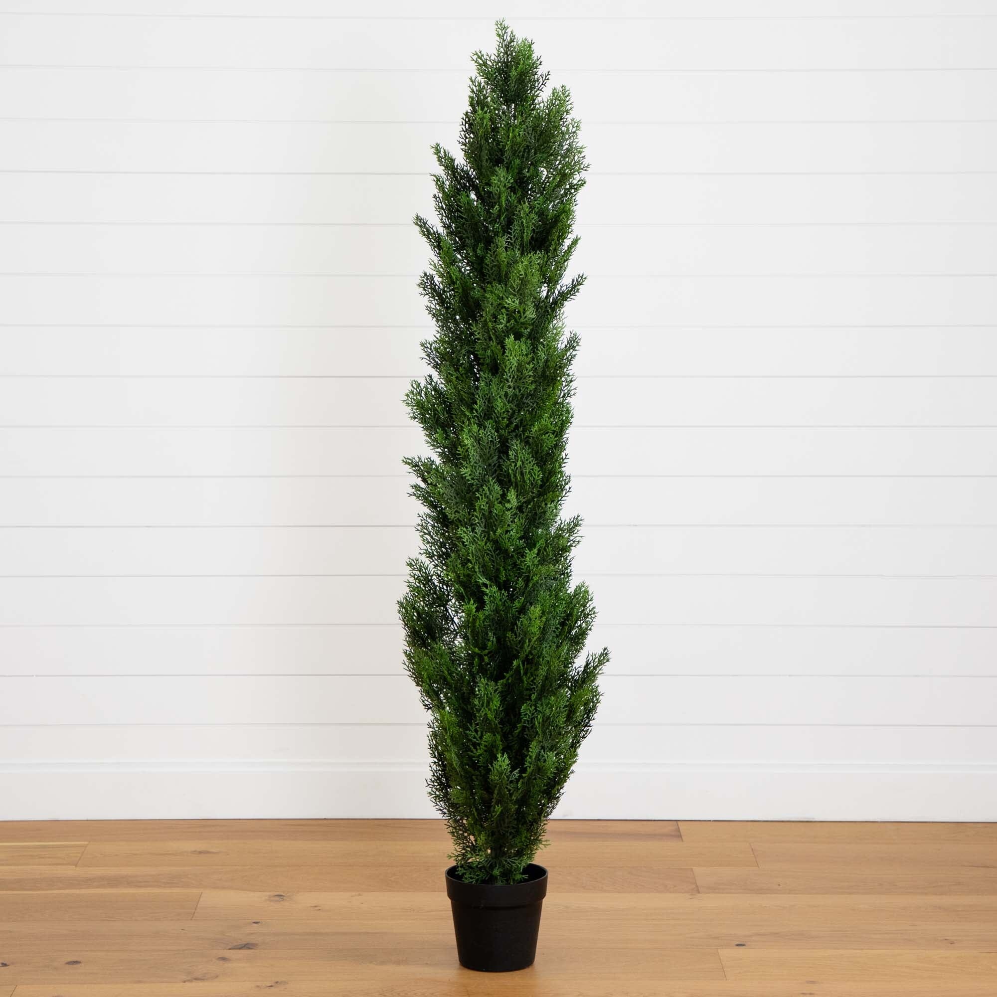 6' Mini Cedar Pine Tree (Indoor/Outdoor) | Nearly Natural