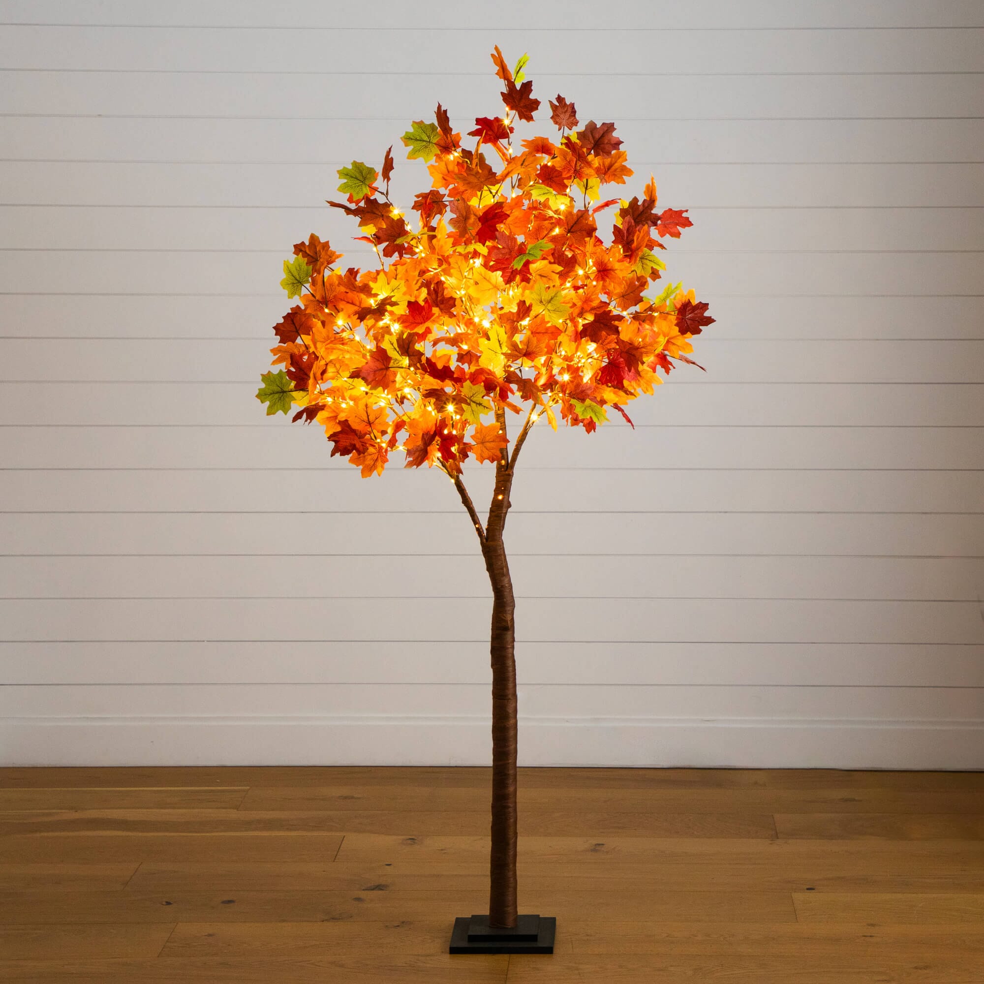 6' Pre-Lit Shades of Autumn Maple Artificial Fall Tree with 360 Warm W ...