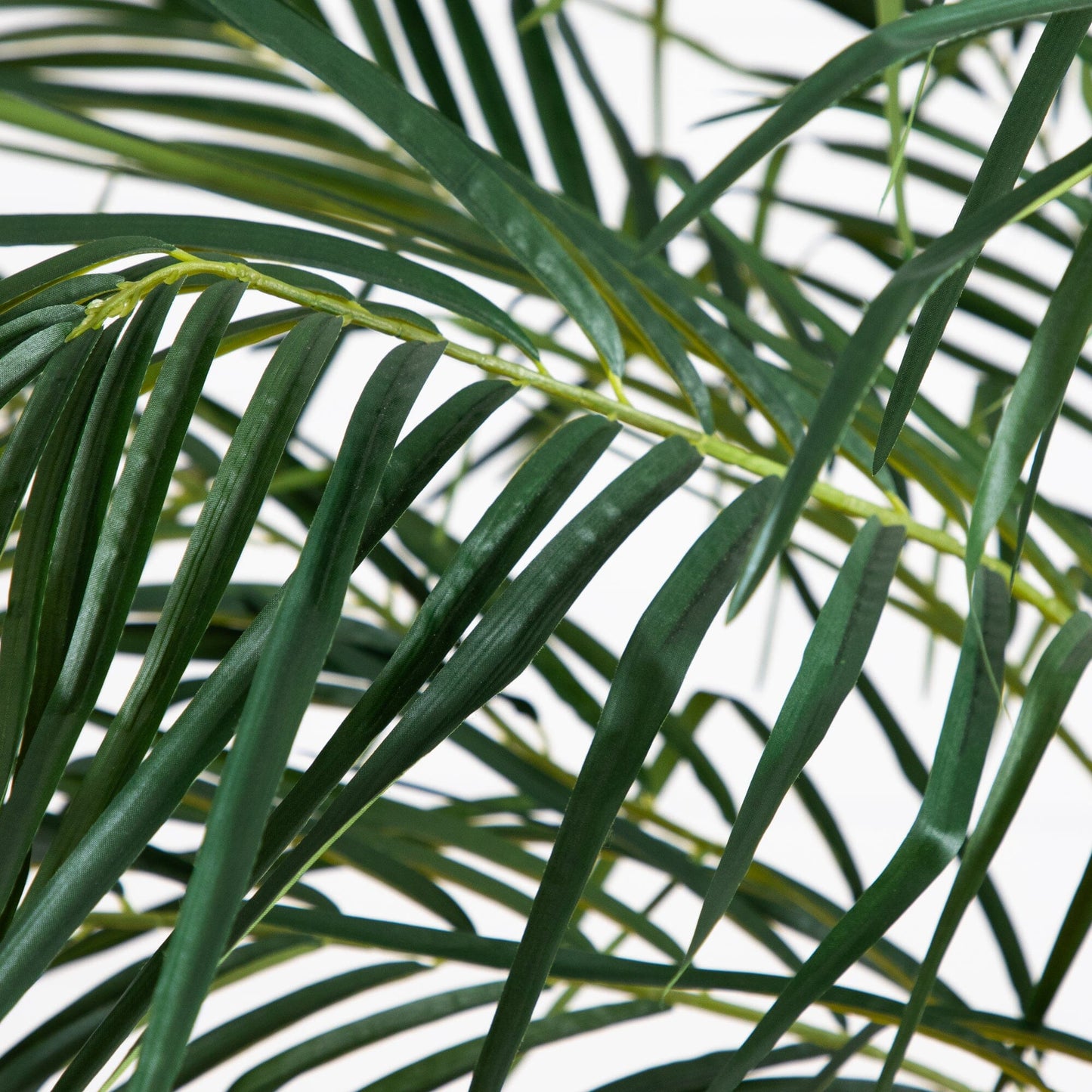 6’ Robellini Palm Tree | Nearly Natural
