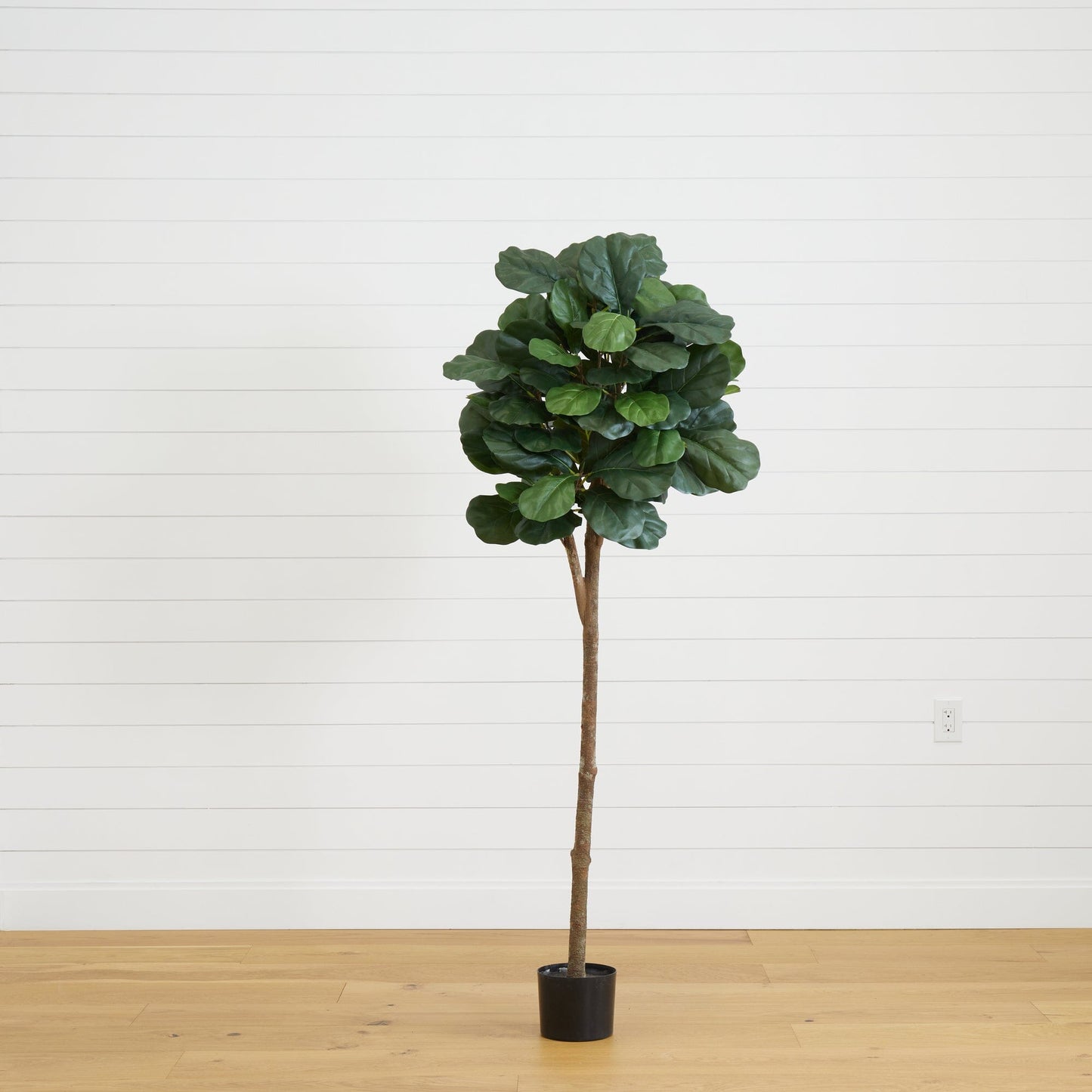6’ Tall Fiddle Leaf Fig Artificial Tree | Nearly Natural
