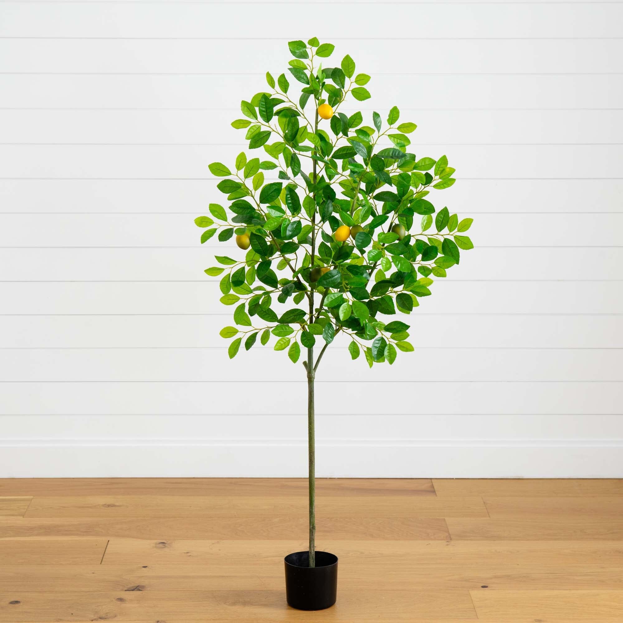 61” Lemon Artificial Tree | Nearly Natural