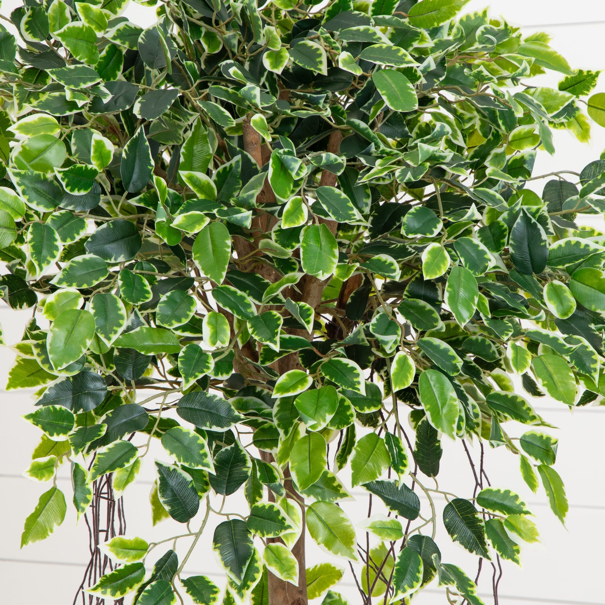 63” Elegant Ficus Artificial Tree in Sandstone Planter | Nearly Natural