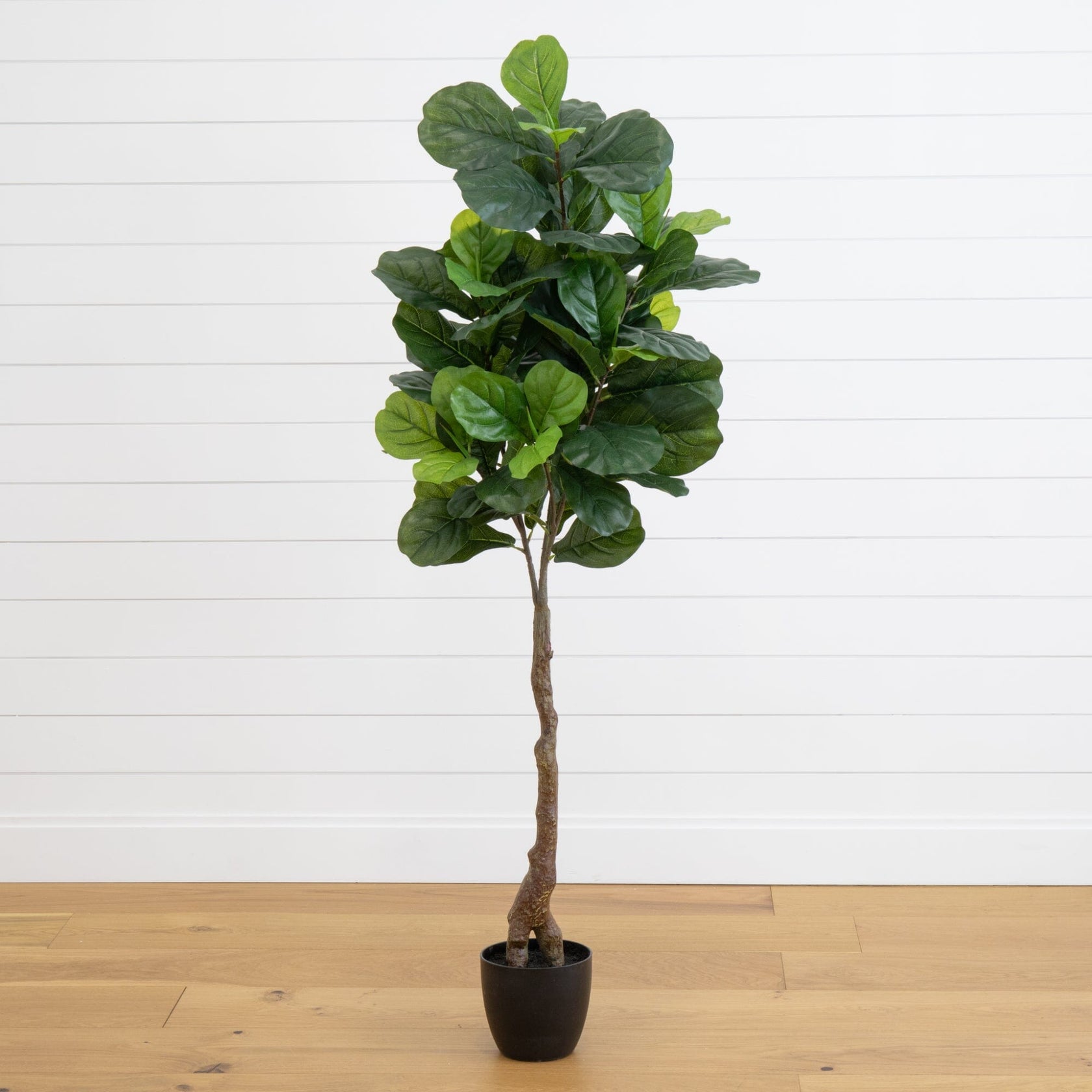 64” Fiddle Leaf Artificial Tree (Real Touch) | Nearly Natural