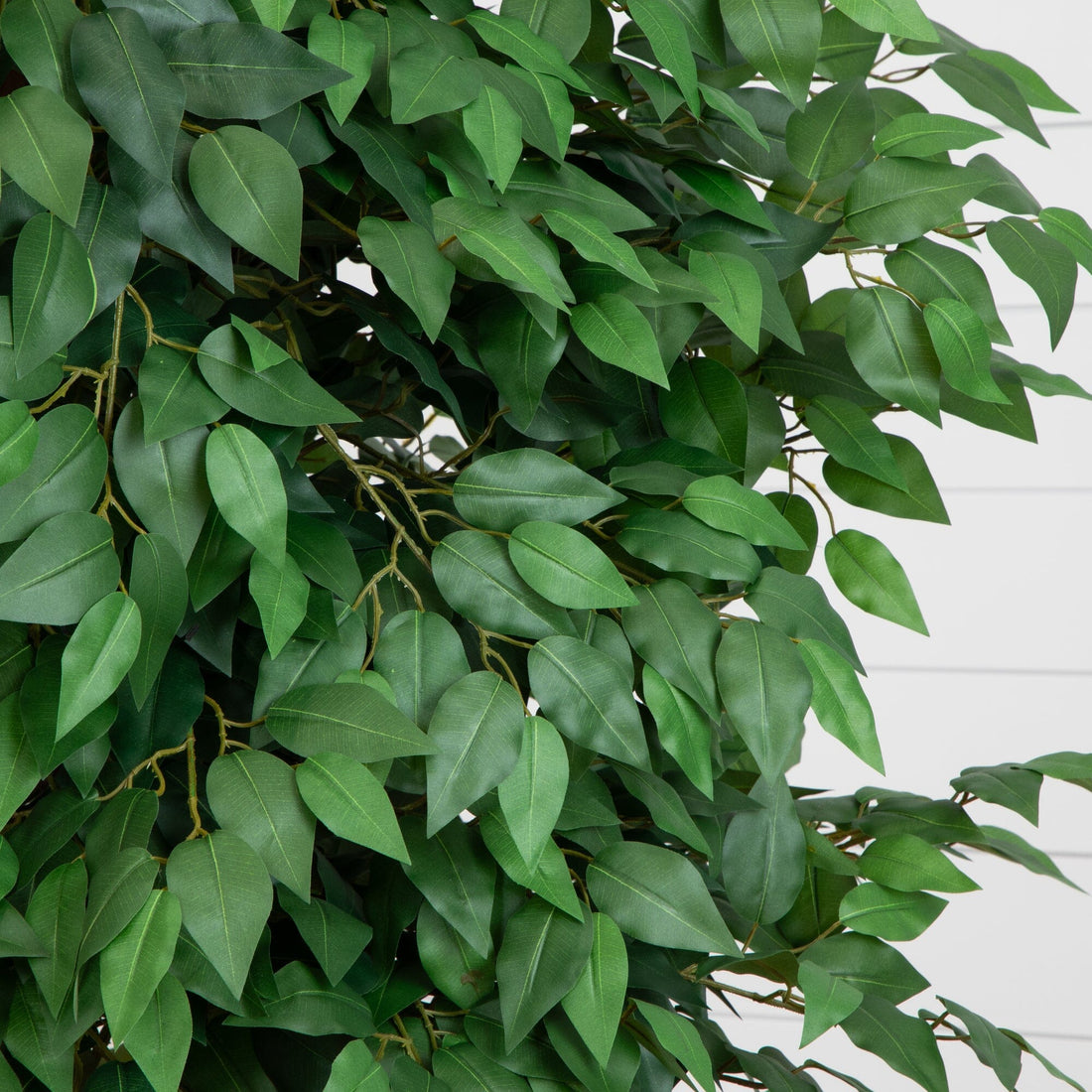 6.5’ Deluxe Ficus Tree | Nearly Natural