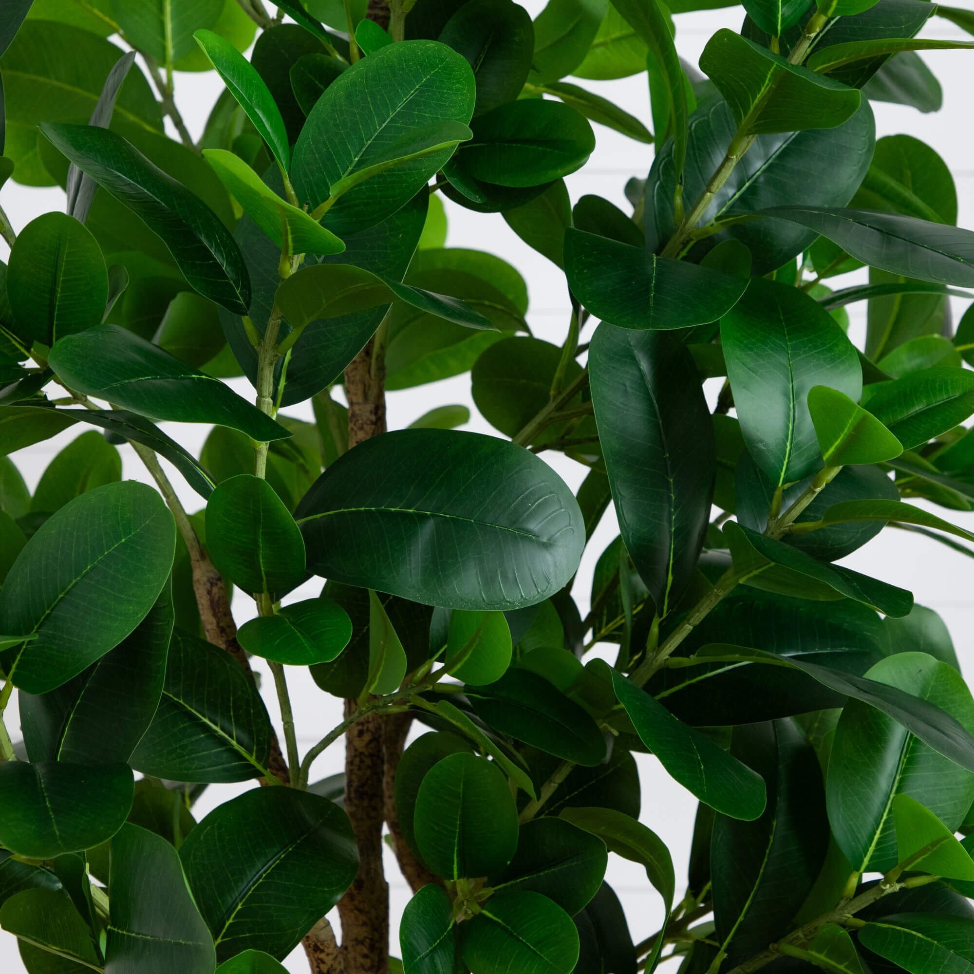 7’ Artificial Audrey Ficus Tree | Nearly Natural