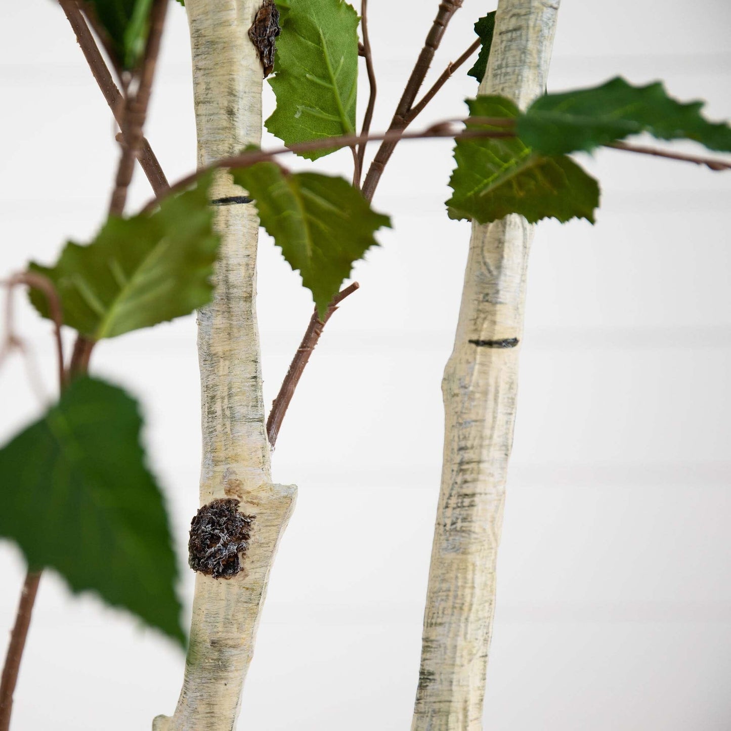 7’ Artificial Birch Tree with Real Touch Leaves | Nearly Natural