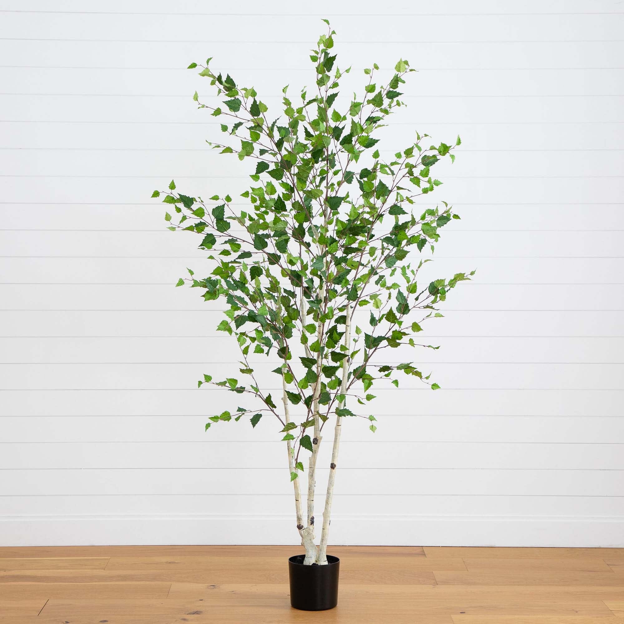 7’ Artificial Birch Tree with Real Touch Leaves | Nearly Natural