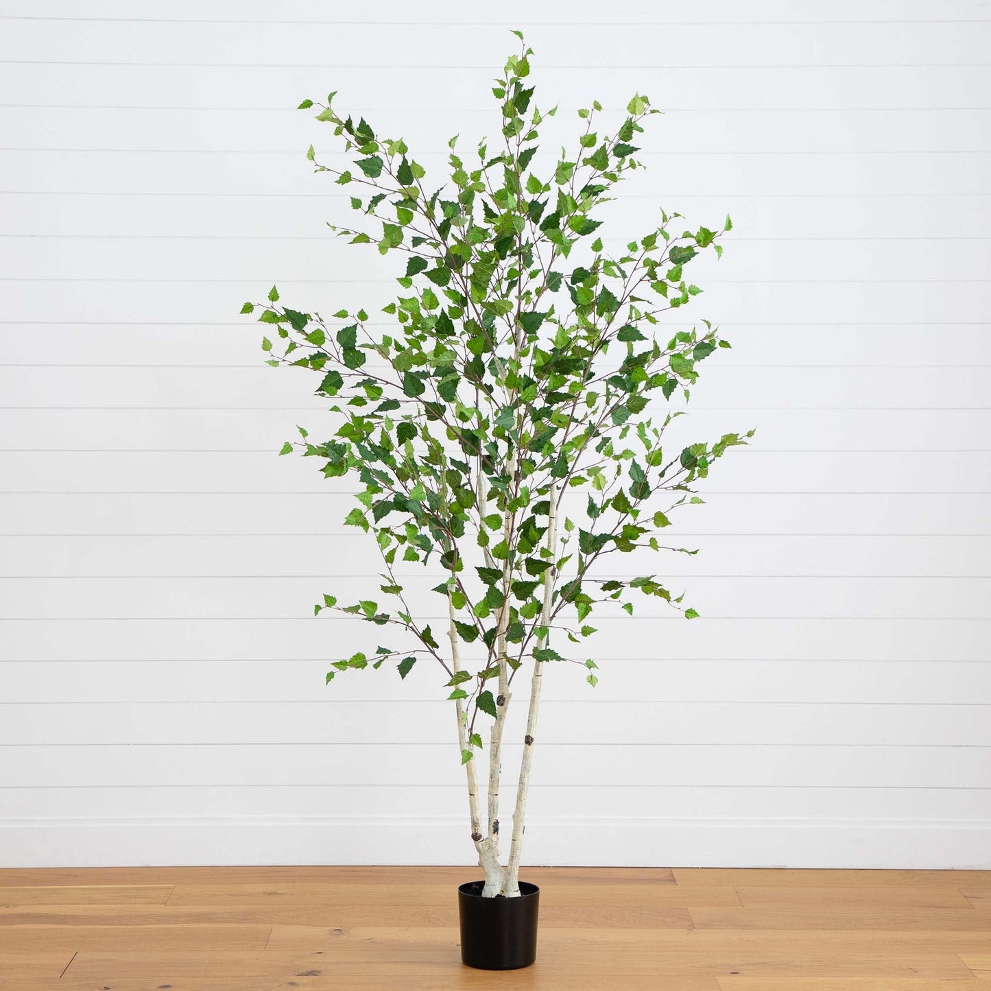 7’ Artificial Birch Tree with Real Touch Leaves | Nearly Natural