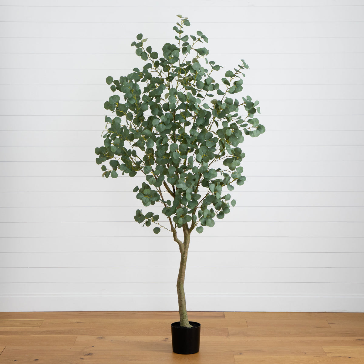 Artificial Eucalyptus Trees | Faux Eucalyptus Trees – Nearly Natural