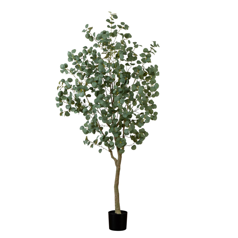 Artificial Eucalyptus Trees | Faux Eucalyptus Trees – Nearly Natural