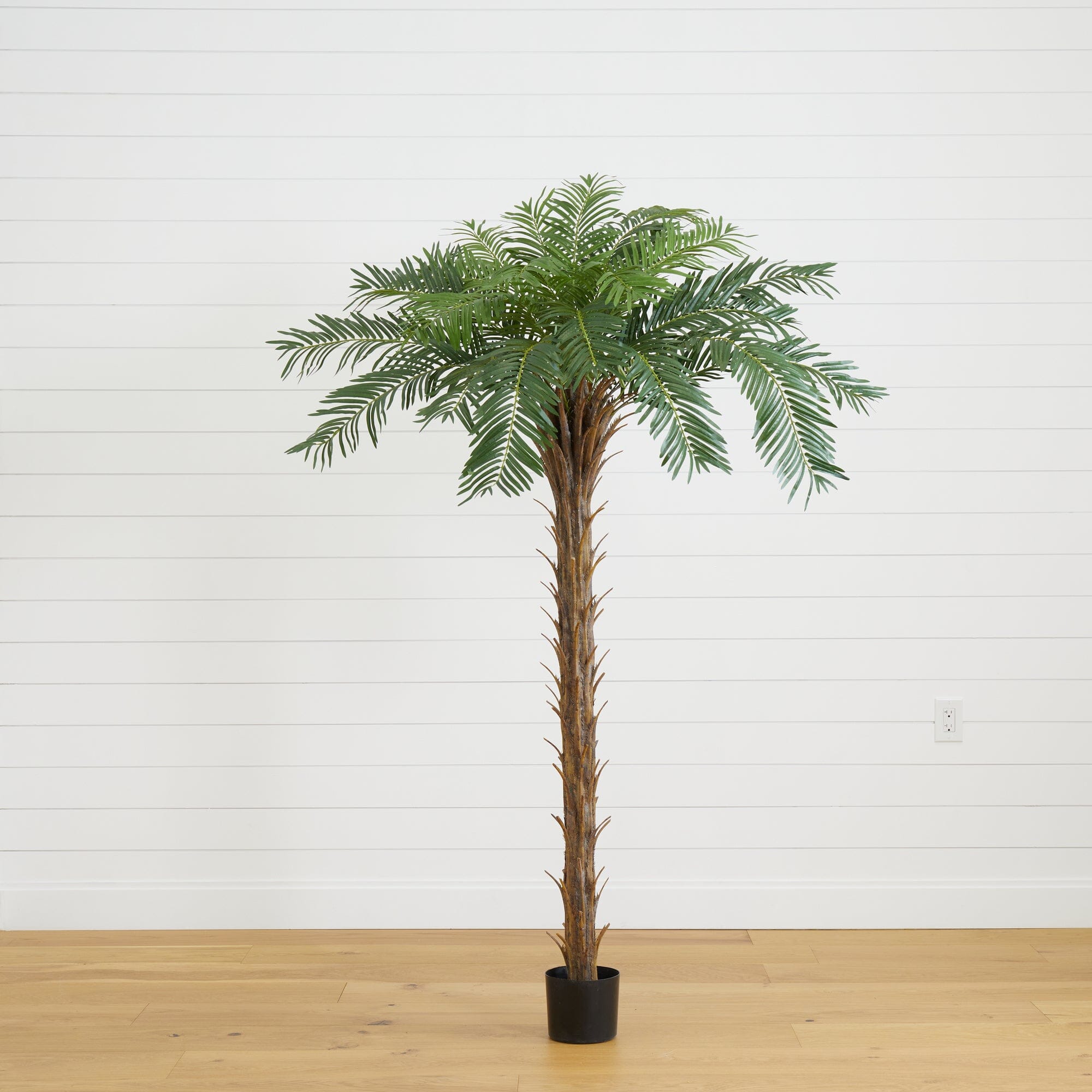 7’ Cycas Palm Artificial Tree | Nearly Natural