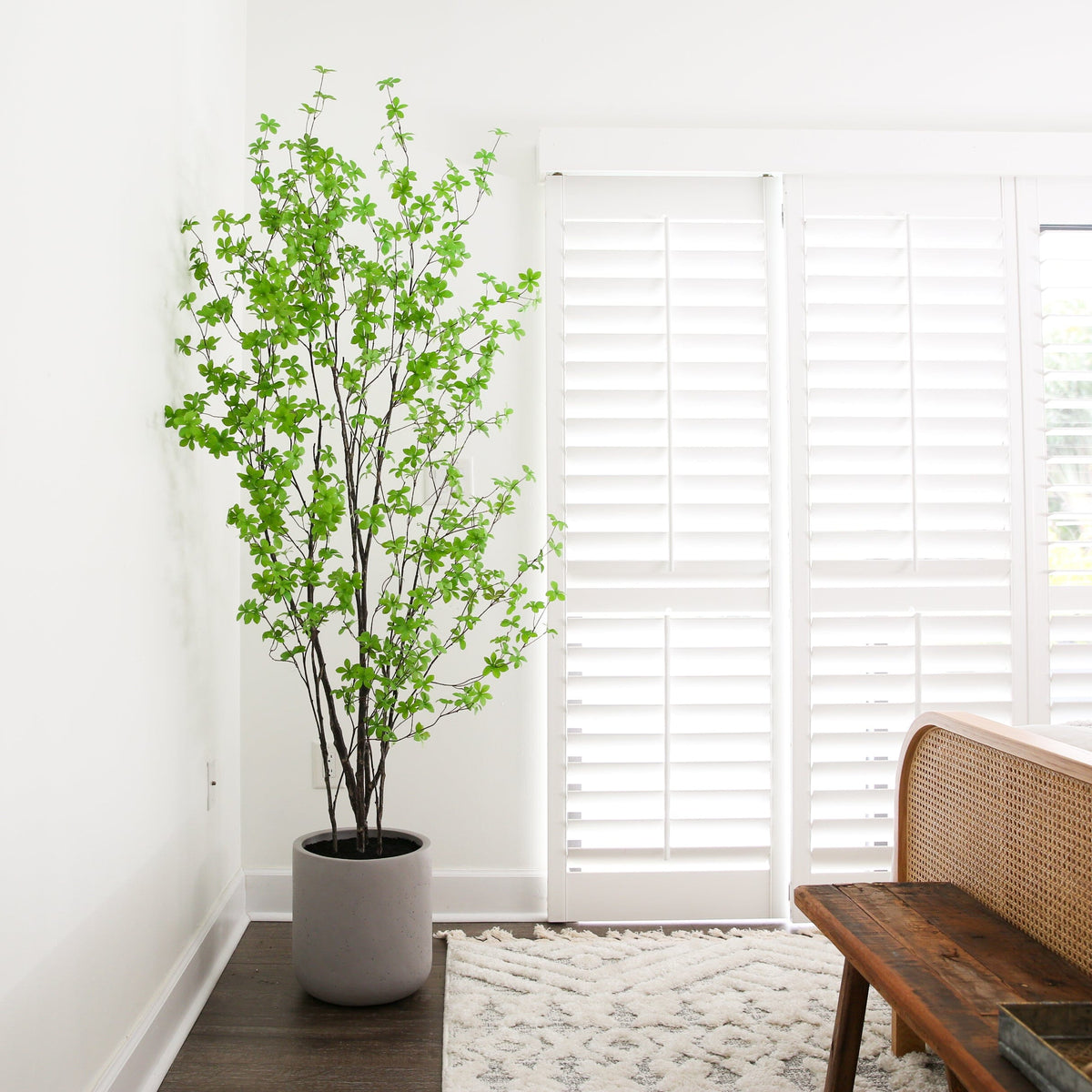 Statement Faux Trees – Nearly Natural