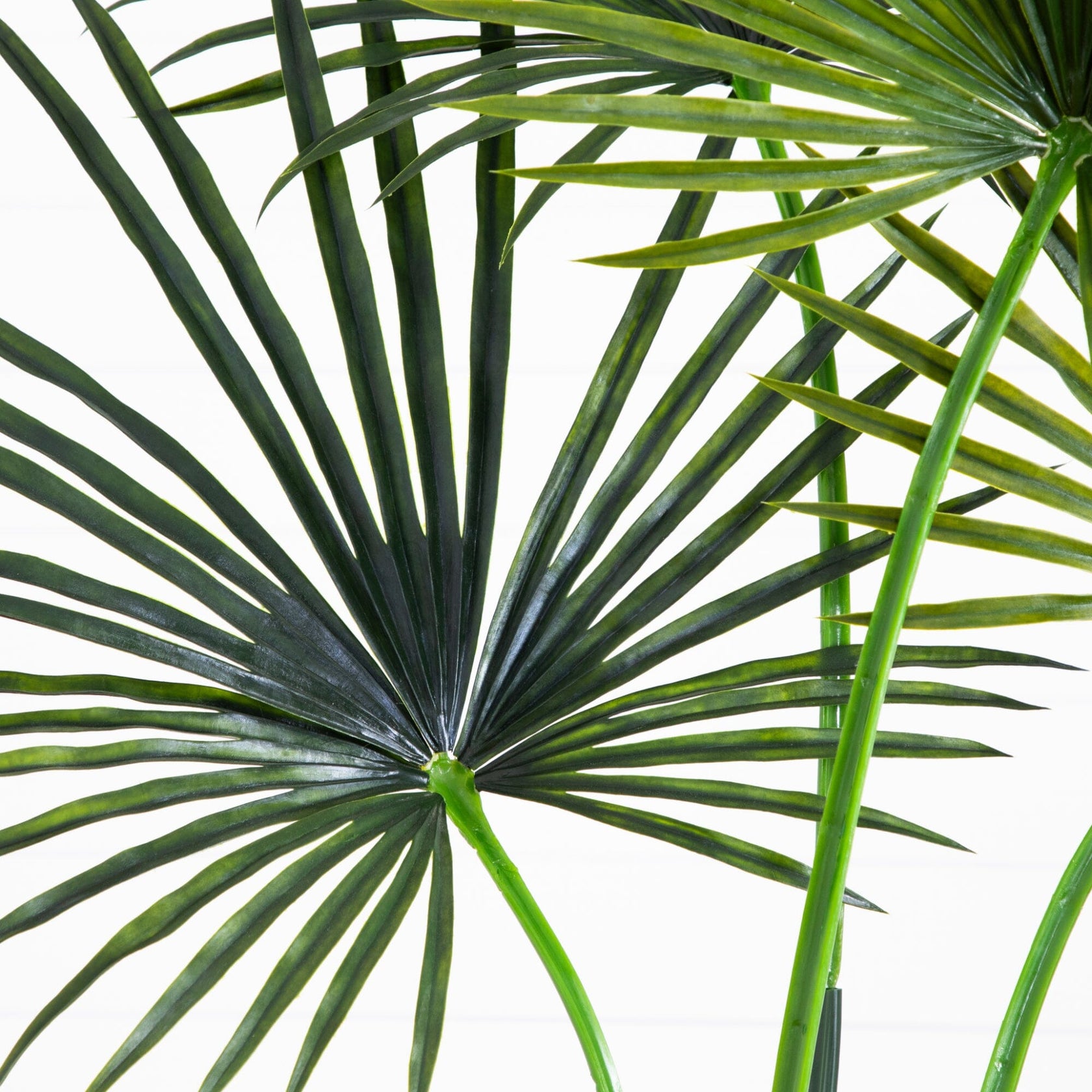 7’ Fan Palm Tree UV Resistant (Indoor/Outdoor) | Nearly Natural