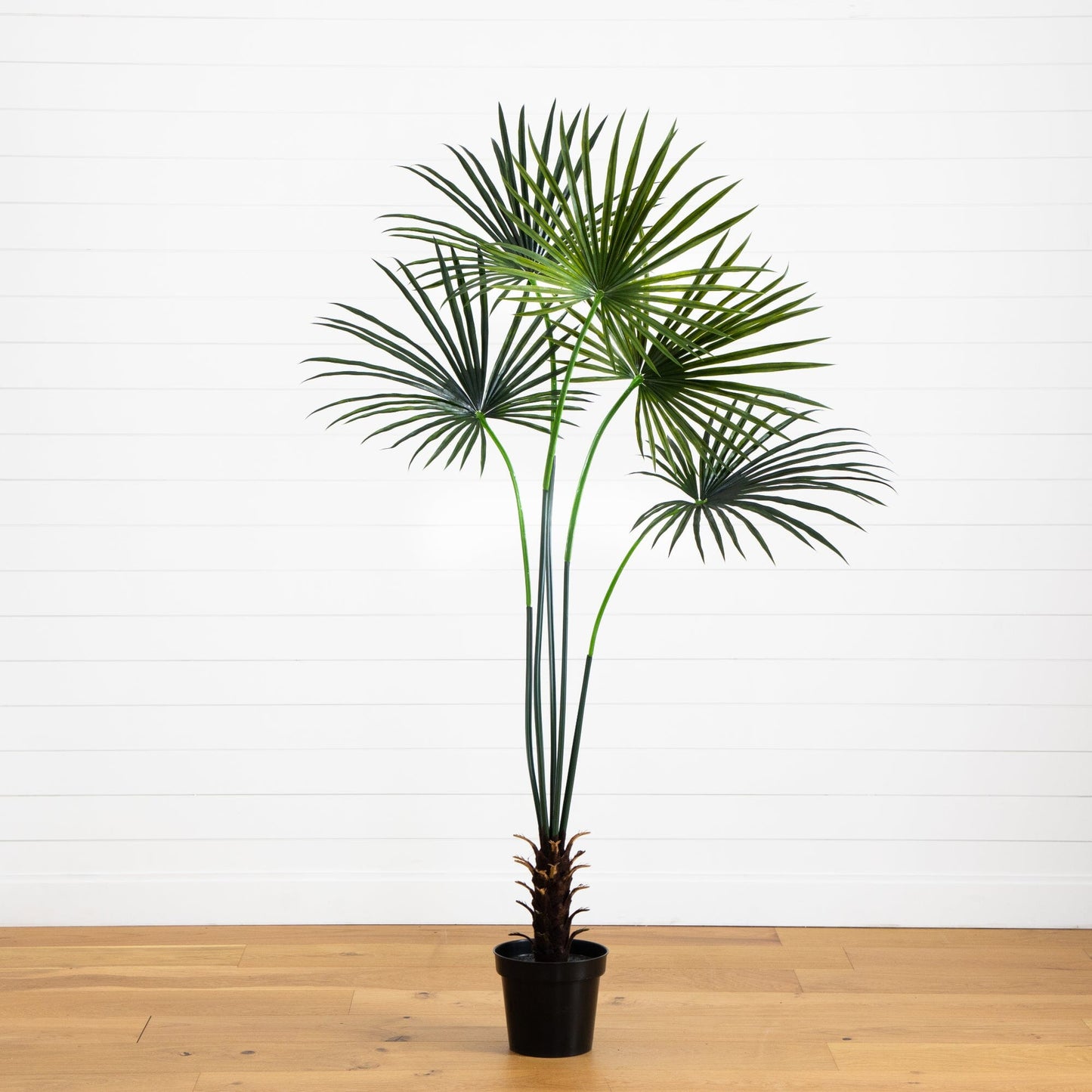 7’ Fan Palm Tree UV Resistant (Indoor/Outdoor) | Nearly Natural