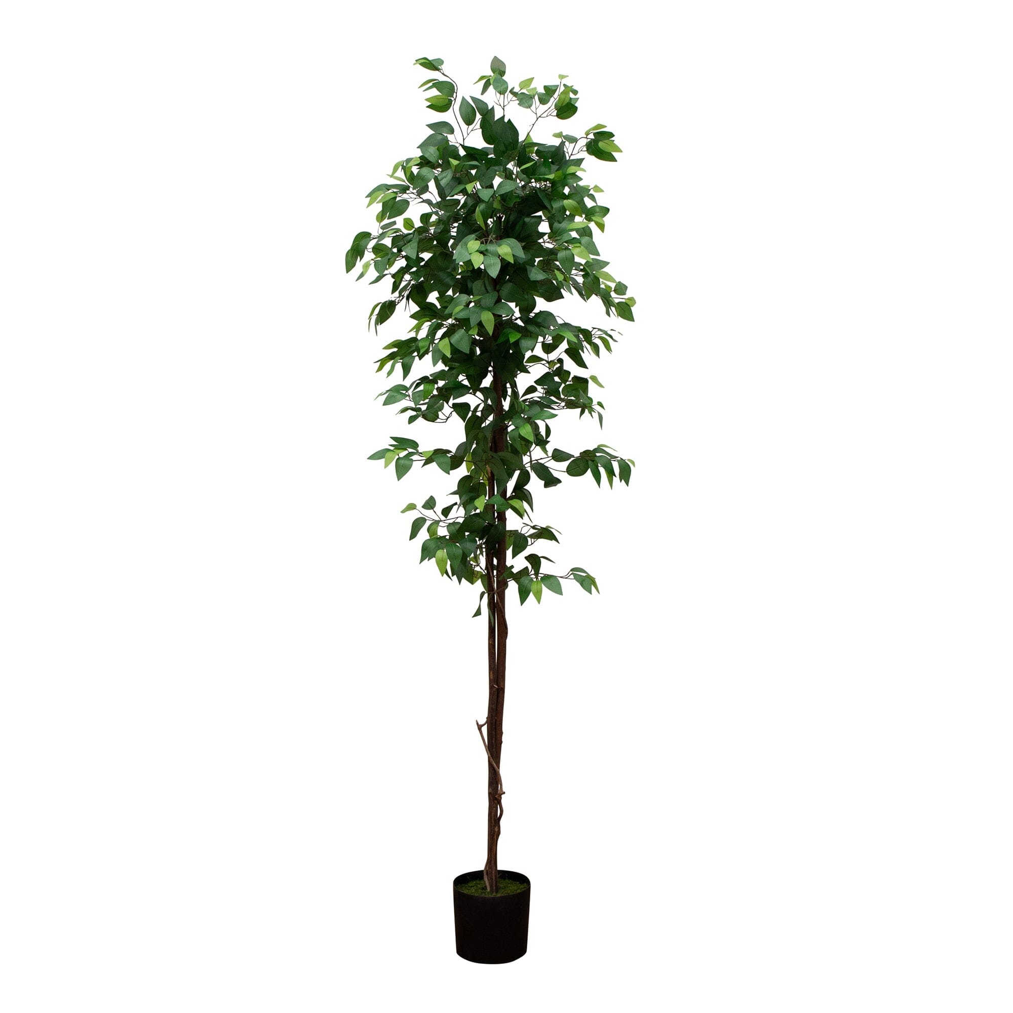 7’ Ficus Double Trunk Artificial Tree | Nearly Natural