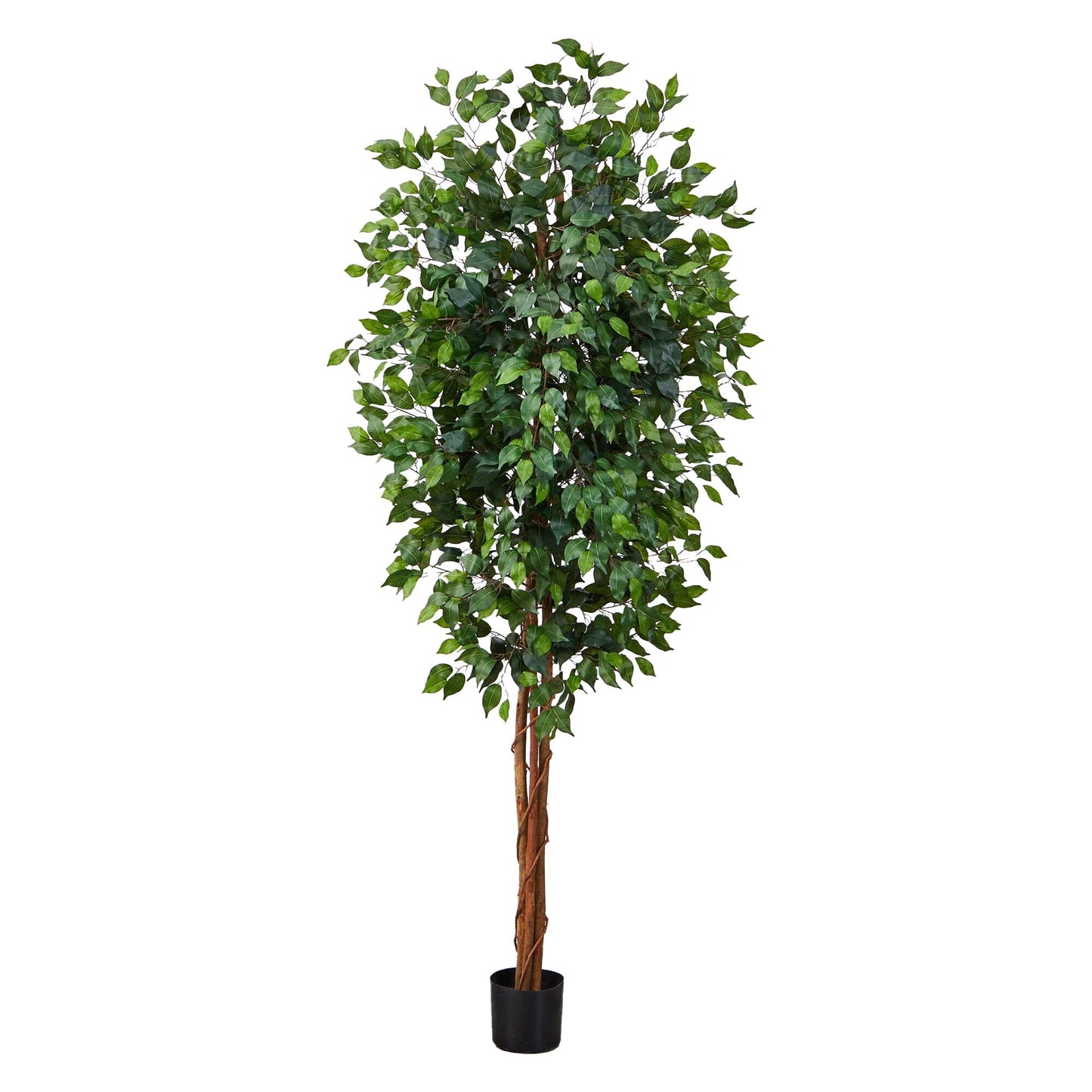 7' Ficus Silk Tree | Nearly Natural