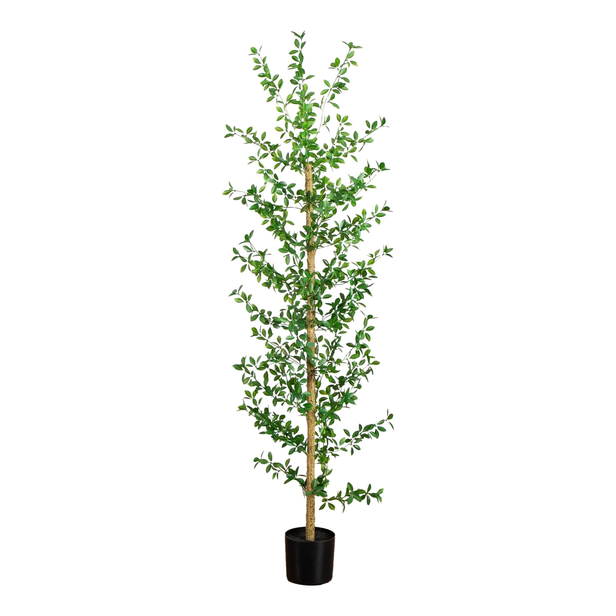 7' Artificial Shady Lady Black Olive Tree – Nearly Natural