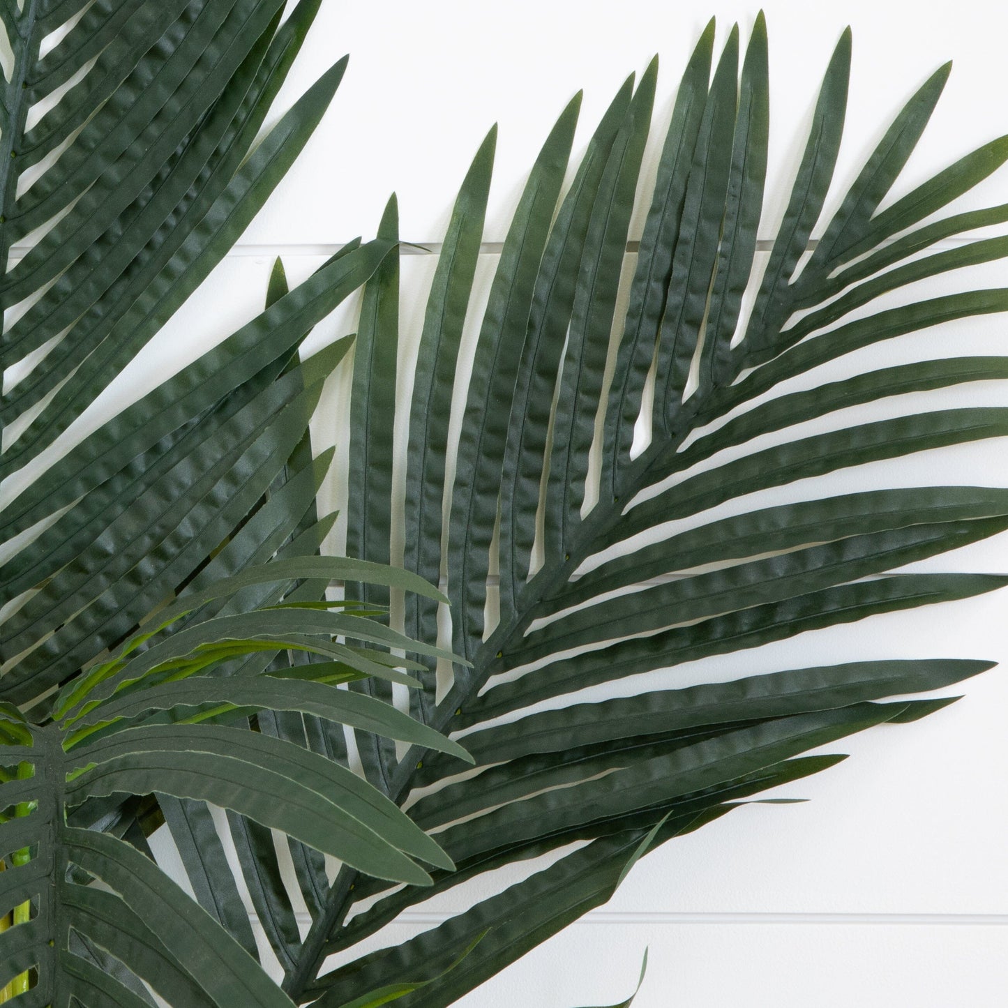 7' Paradise Palm | Nearly Natural