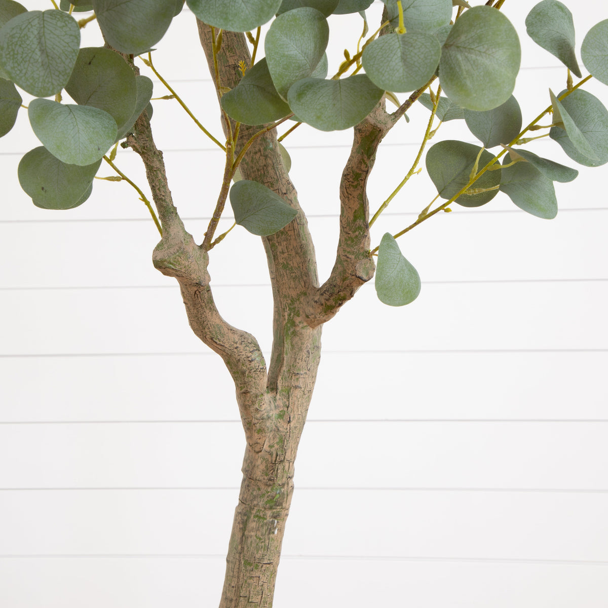 Artificial Eucalyptus Trees | Faux Eucalyptus Trees – Nearly Natural