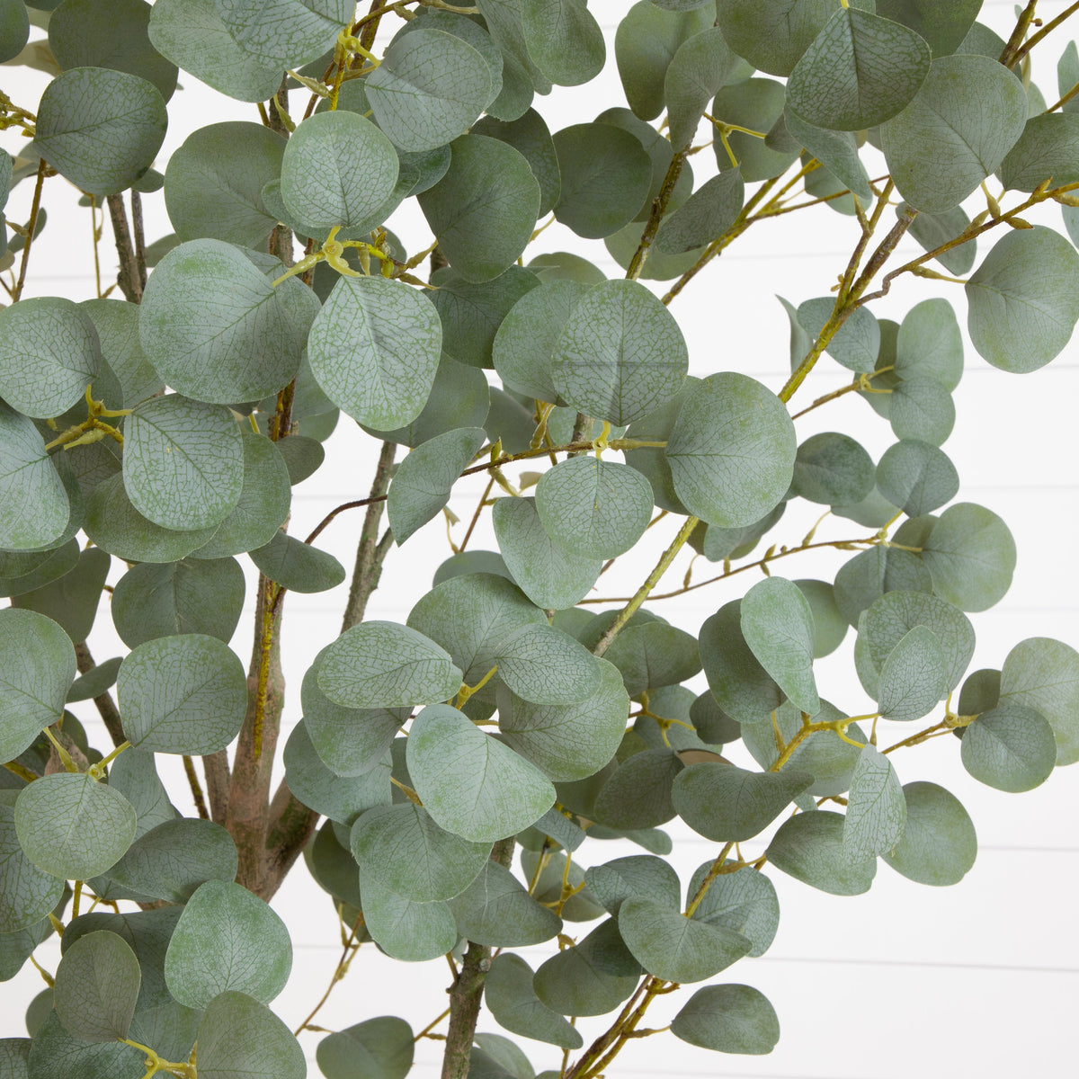 Artificial Eucalyptus Trees | Faux Eucalyptus Trees – Nearly Natural