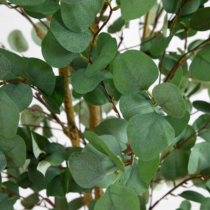 Artificial Eucalyptus Trees | Faux Eucalyptus Trees – Nearly Natural