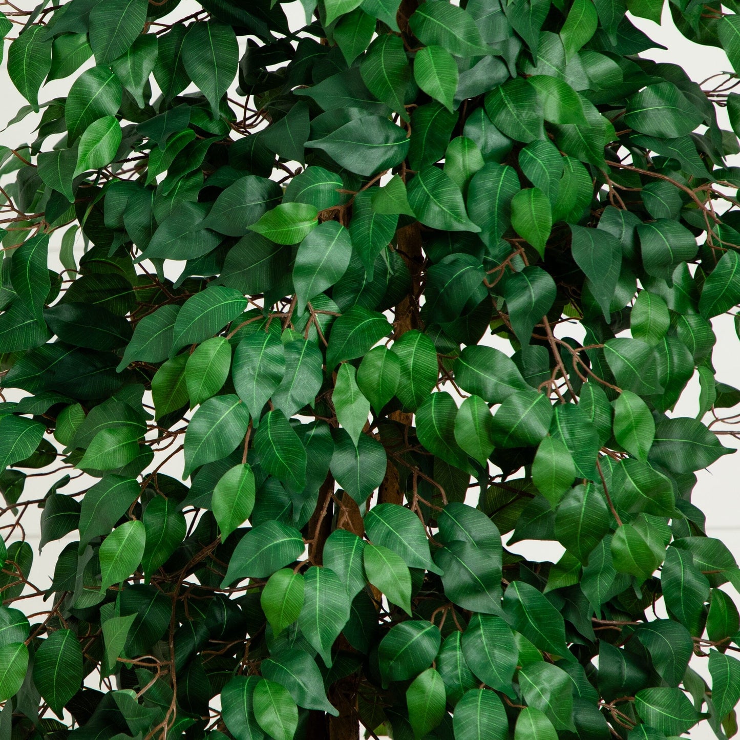 8’ Ficus Tree w/1512 Lvs | Nearly Natural