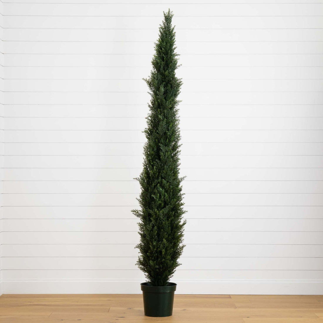 8' Mini Cedar Pine Tree w/4249 tips in 12” Pot (Two Tone Green ...