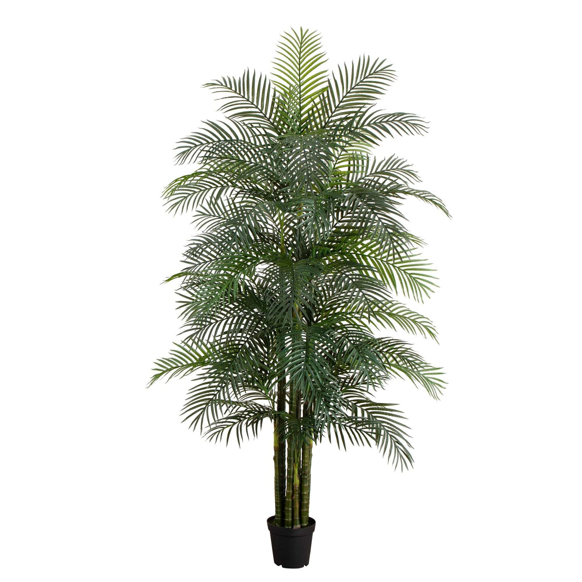 Outdoor Artificial Palm Trees | Nearly Natural