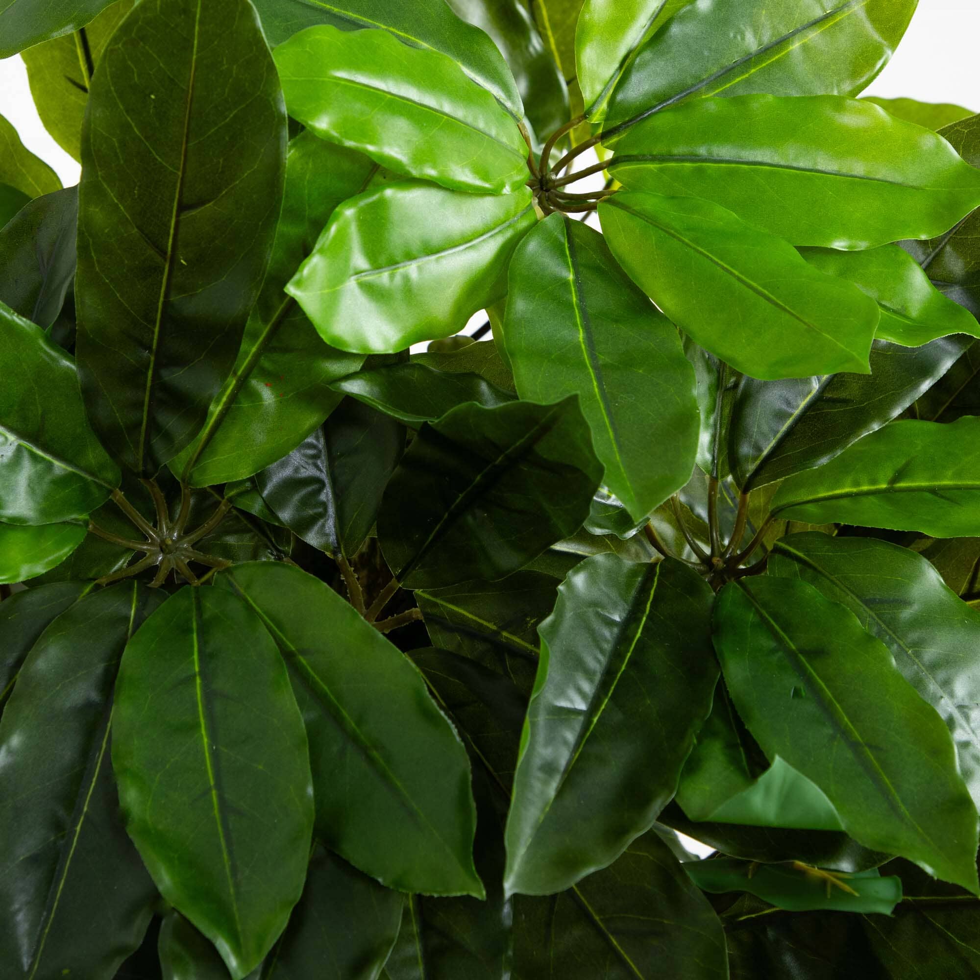 Schefflera Artificial Tree UV Resistant (Indoor/Outdoor) | Nearly Natural