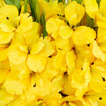 Signature Collection – Nearly Natural