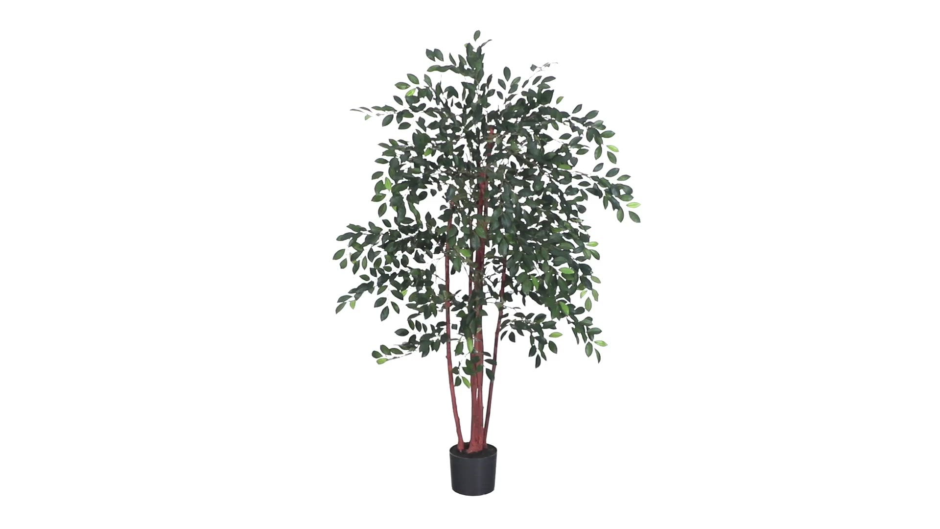4' Ruscus Silk Tree | Nearly Natural