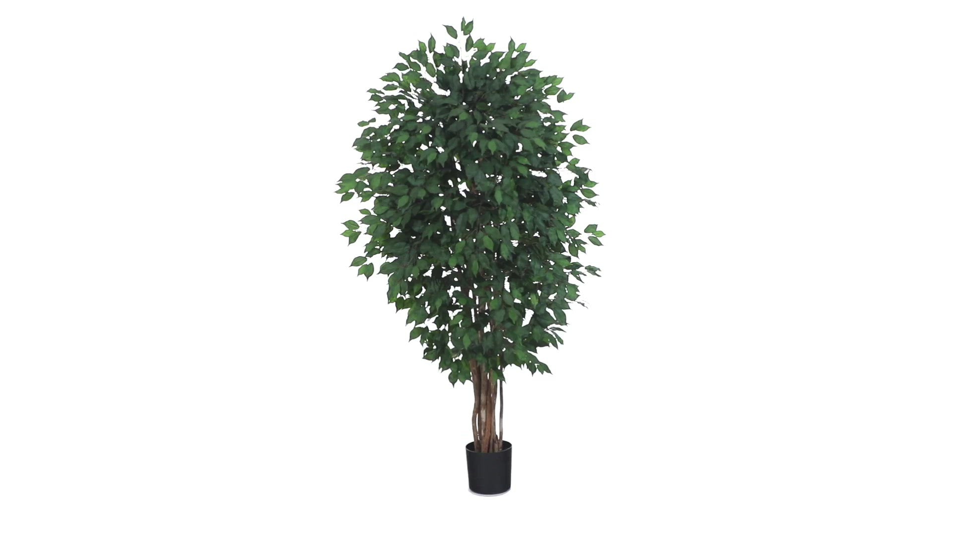 5.5’ Artificial Ficus Tree Bunched Trunks | Nearly Natural