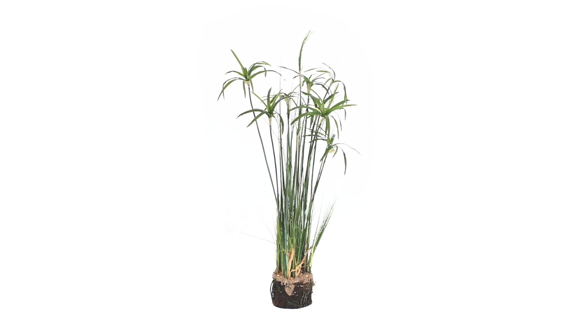 Papyrus Plant with Faux Soil | Nearly Natural