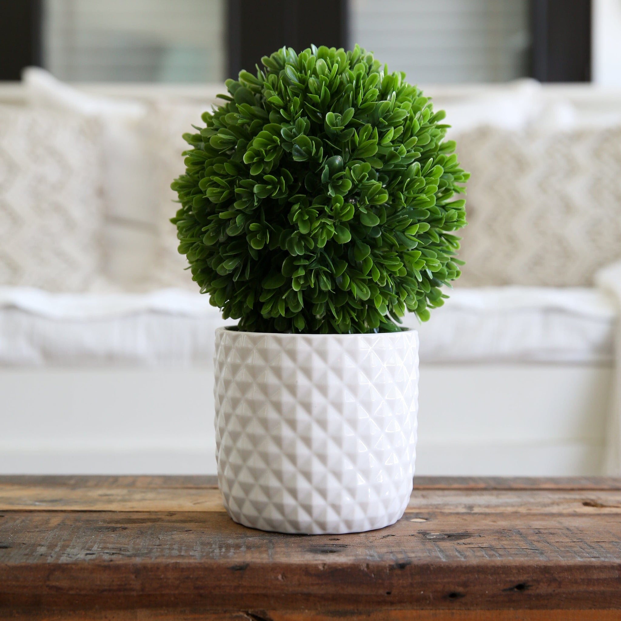 10" Artificial Boxwood Topiary Plant with Decorative Planter | Nearly ...