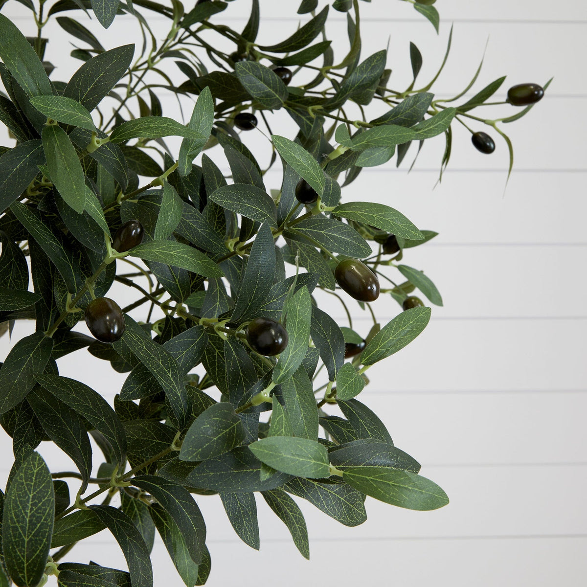 Faux Olive Tree Family | Fake Olive Tree Collection | Nearly Natural