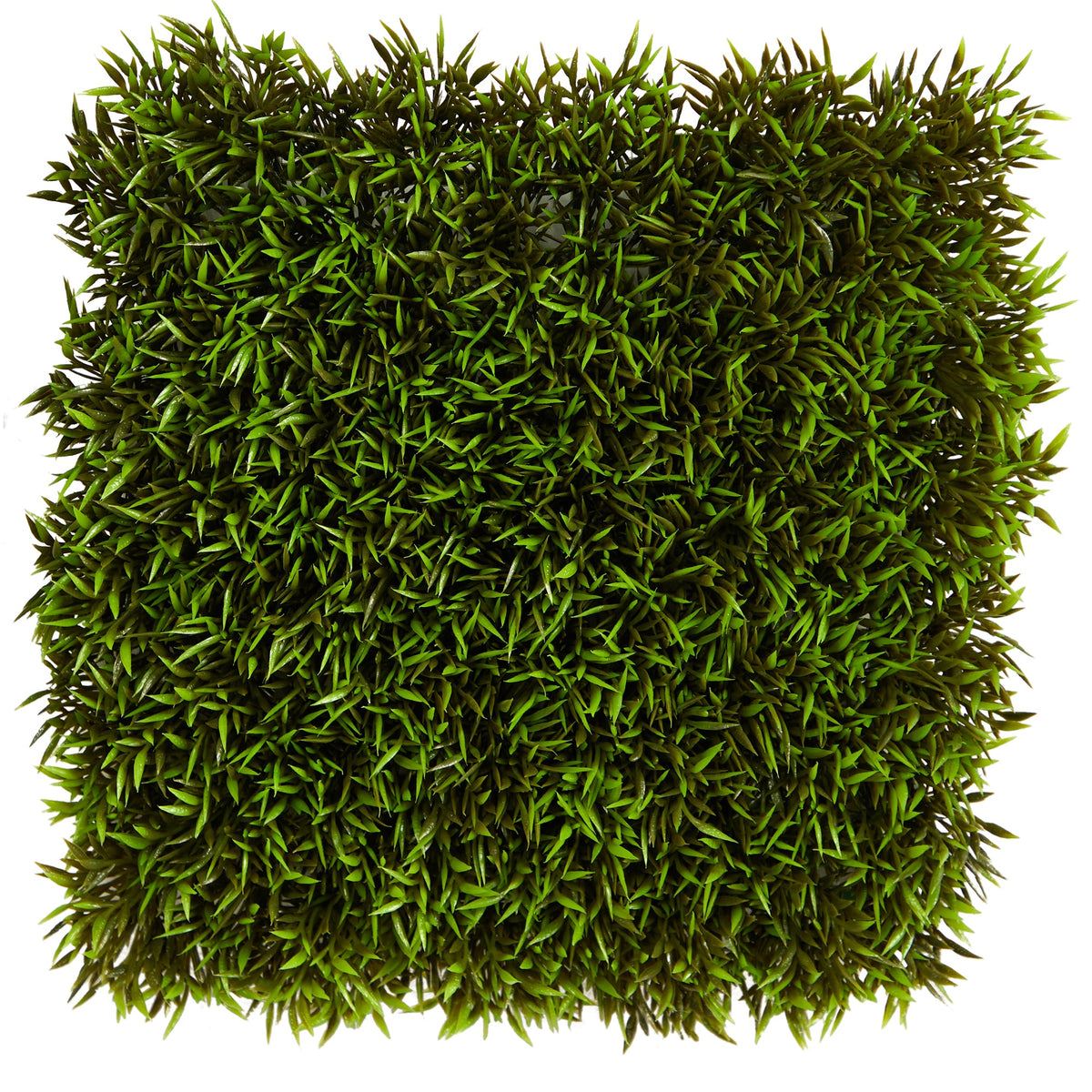 Outdoor Wall Mats – Nearly Natural