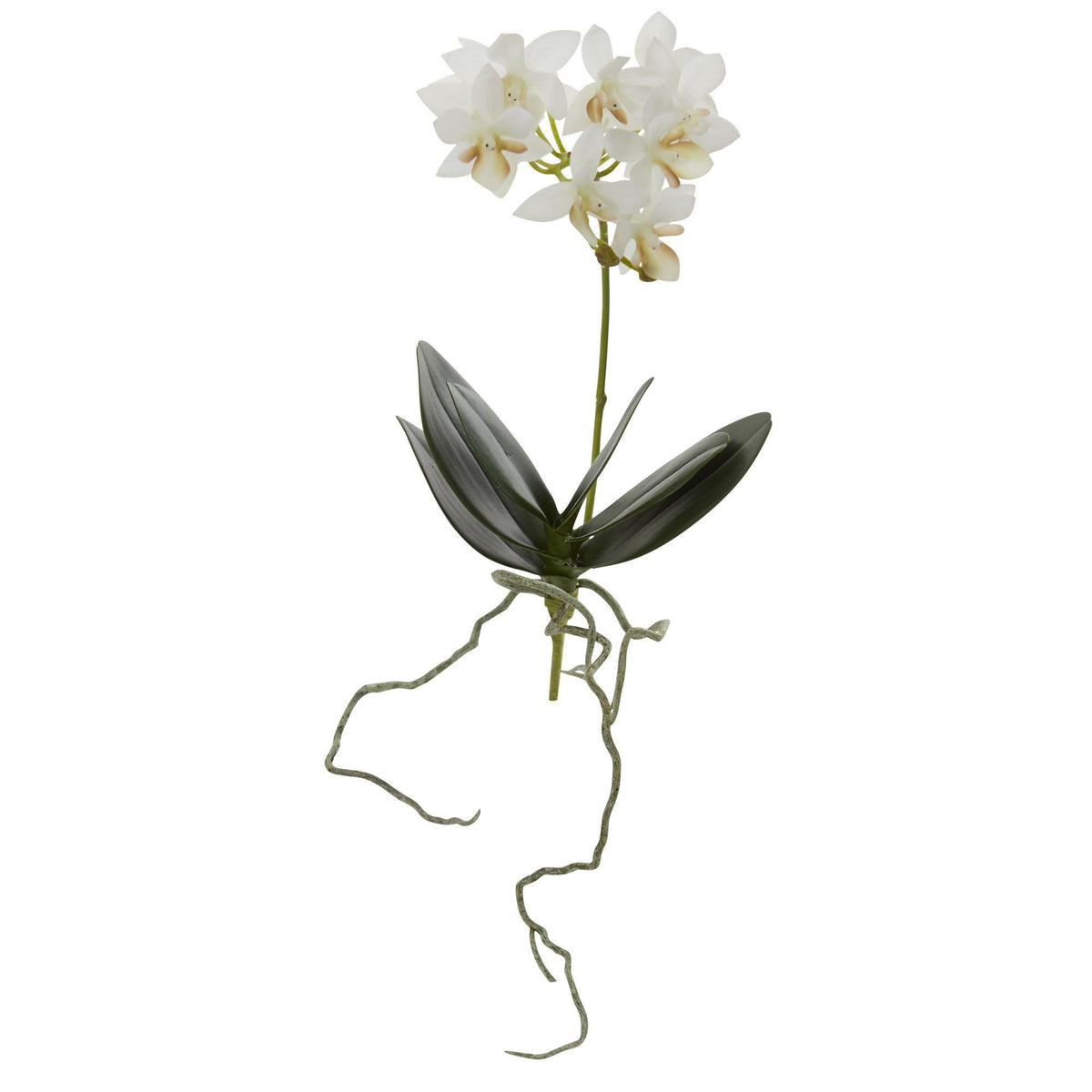 Artificial Orchids | Silk Orchids | Nearly Natural