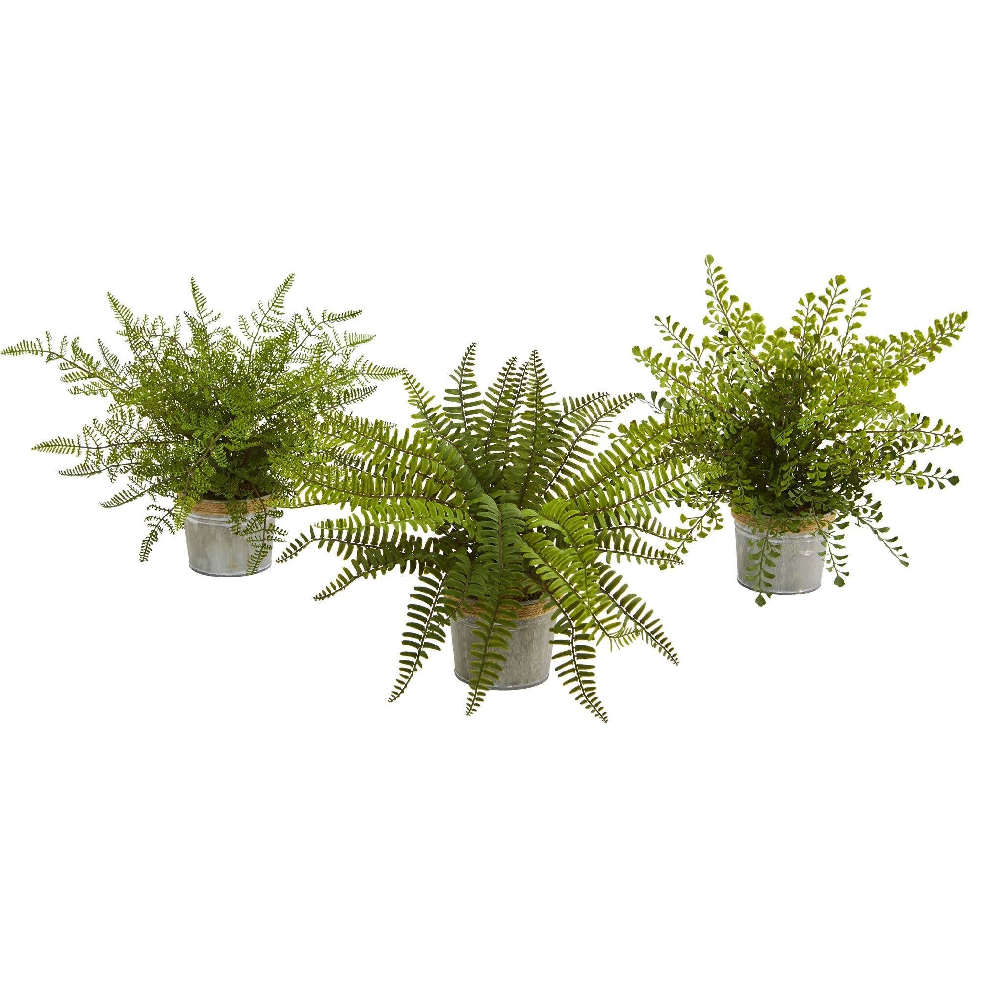 14” Assorted Ferns with Planter Artificial Plant (Set of 3) | Nearly ...