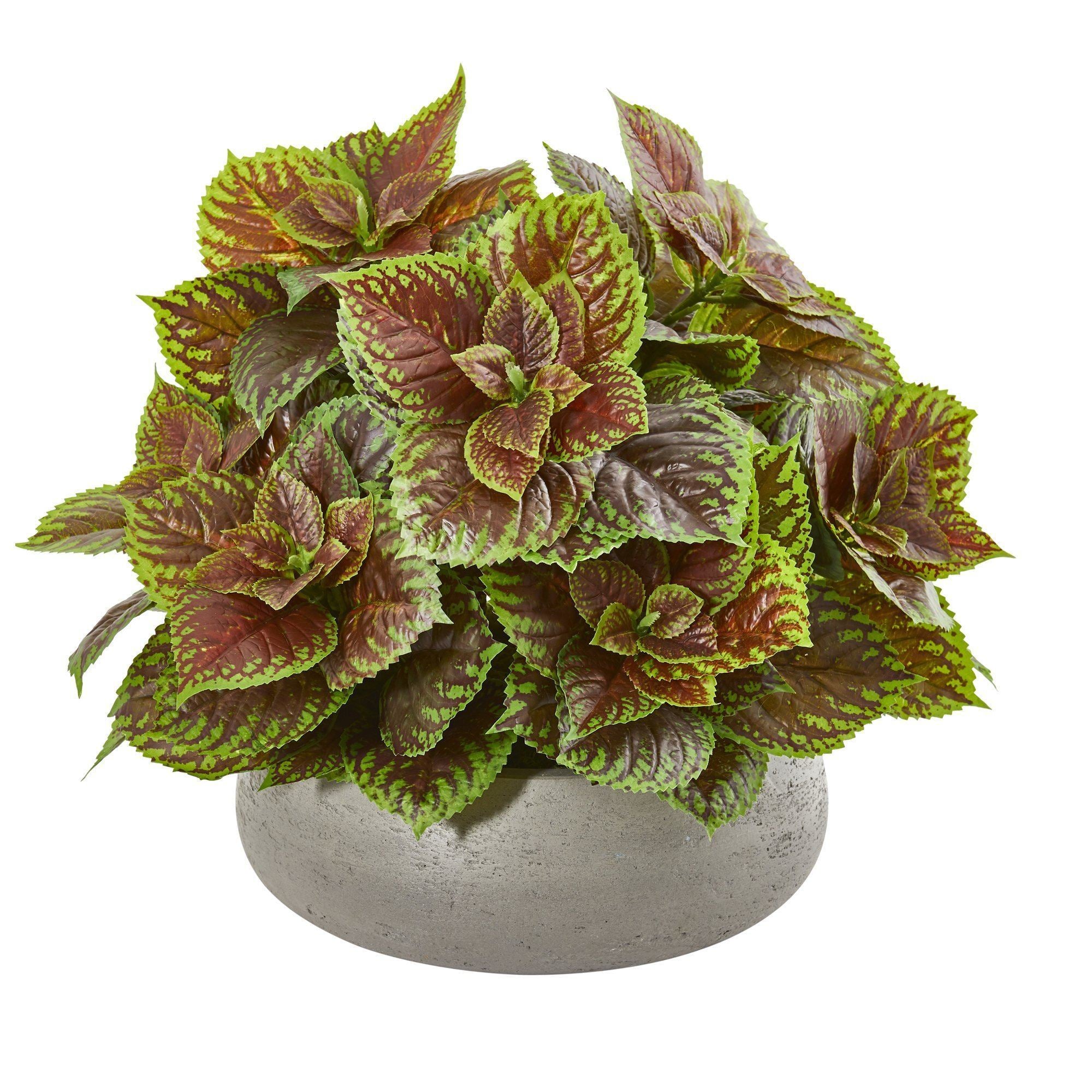 16” Coleus Artificial Plant in Decorative Planter (Real Touch) | Nearly ...